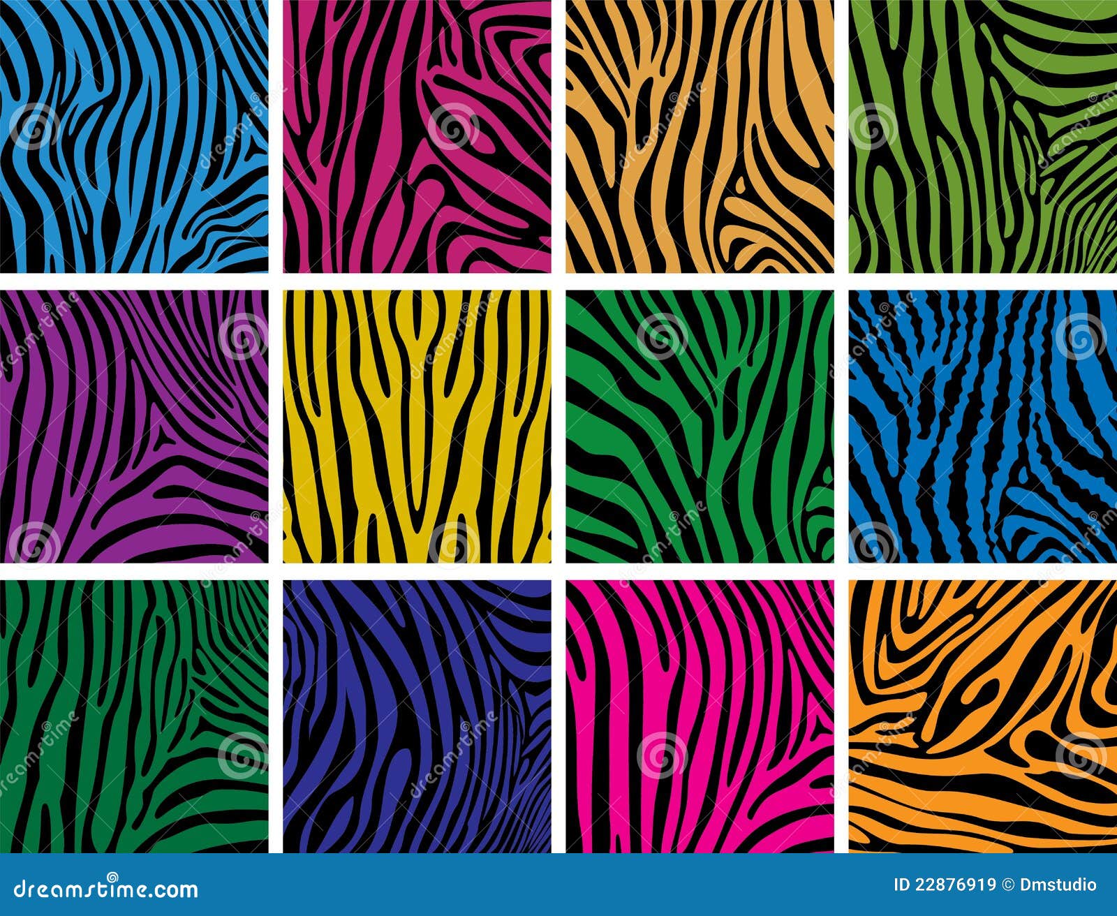 Vector Colorful Skin Textures of Zebra Stock Vector - Illustration of ...