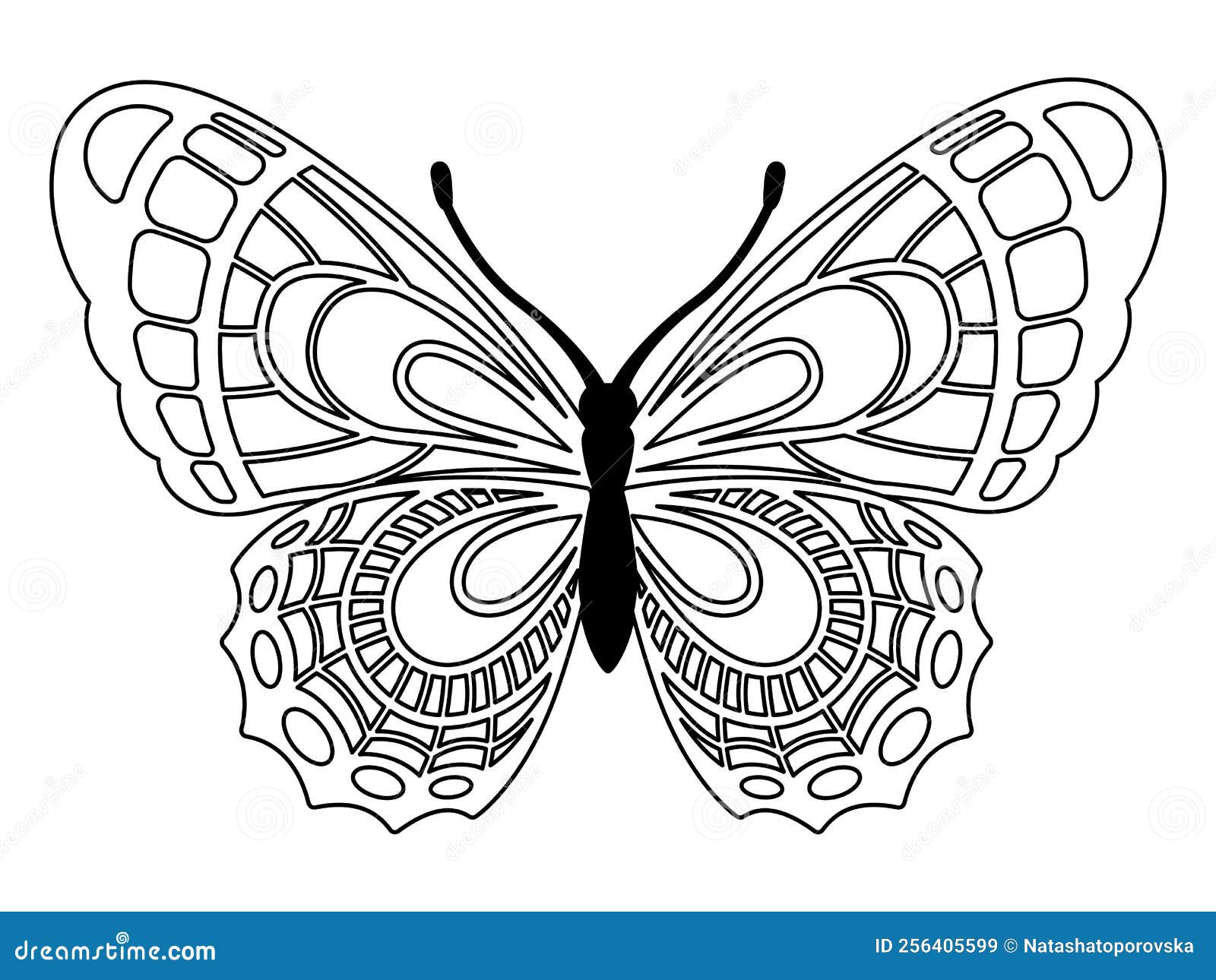 Vector Coloring Book Page Silhouette Of Elegant Butterfly In Mandala