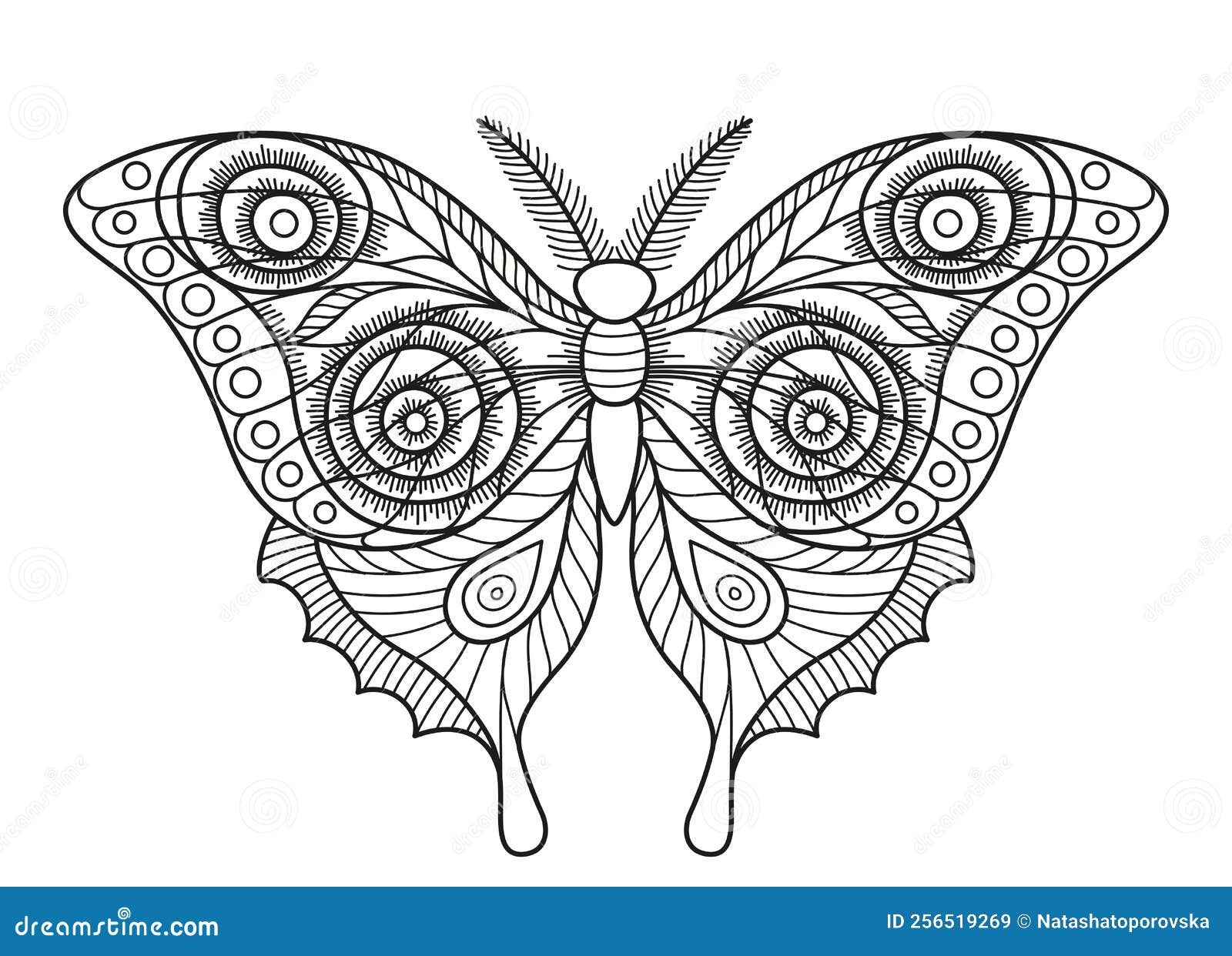 Vector Coloring Book Page Silhouette Of Elegant Butterfly Or Moth In