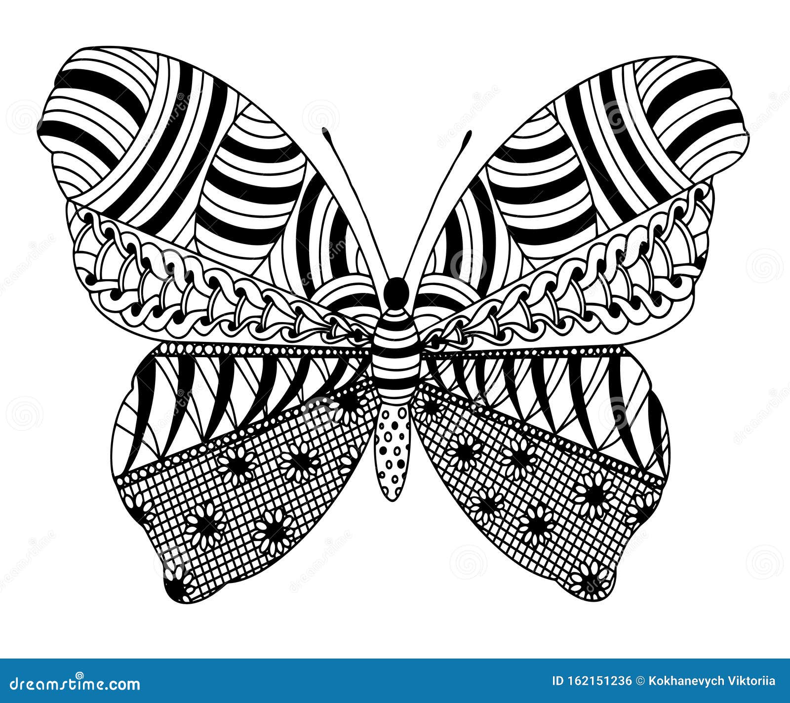 Butterfly Pattern Coloring Pages