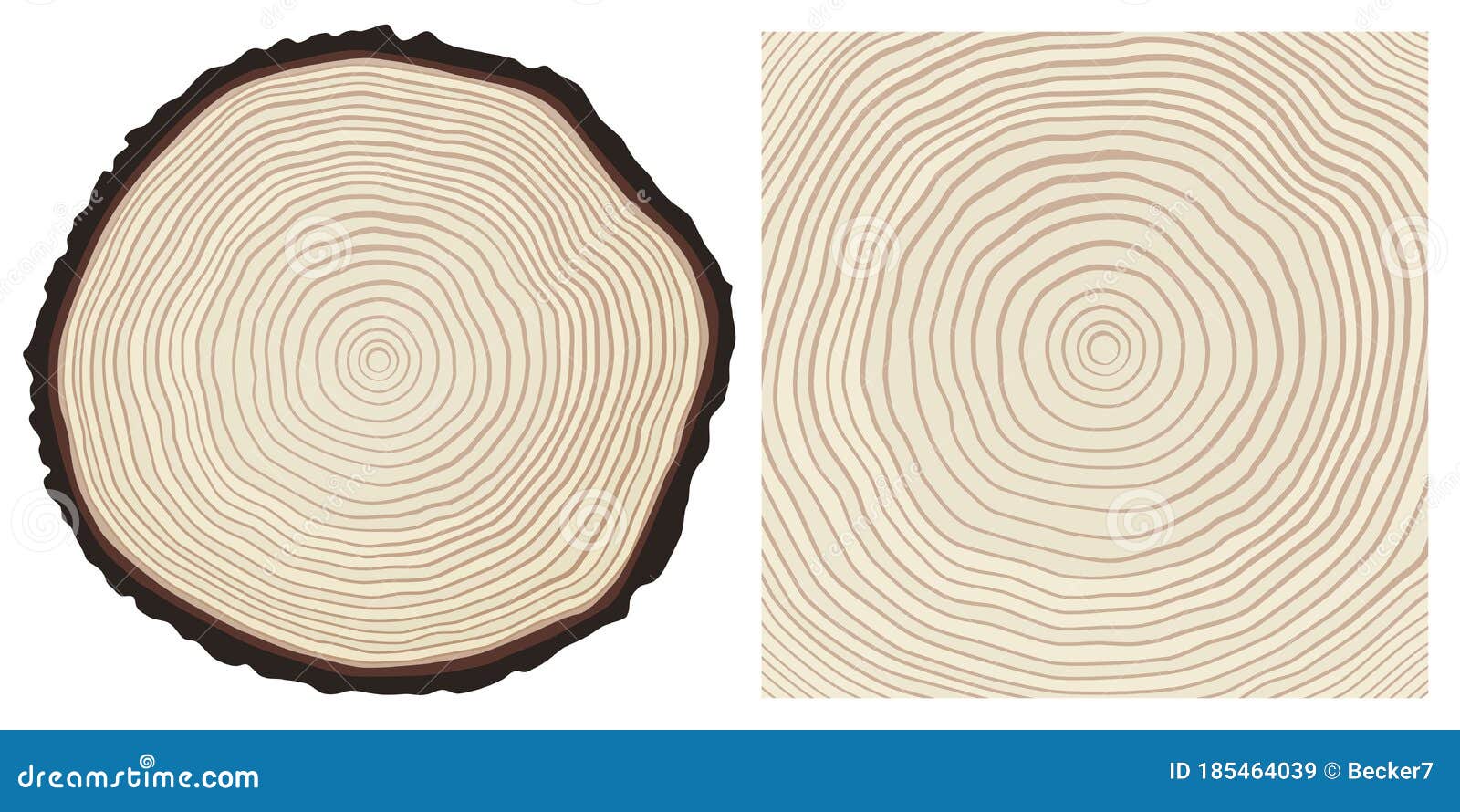 Vector Colour Saw Cut Pine Tree Trunk and Tree Rings Background Stock ...