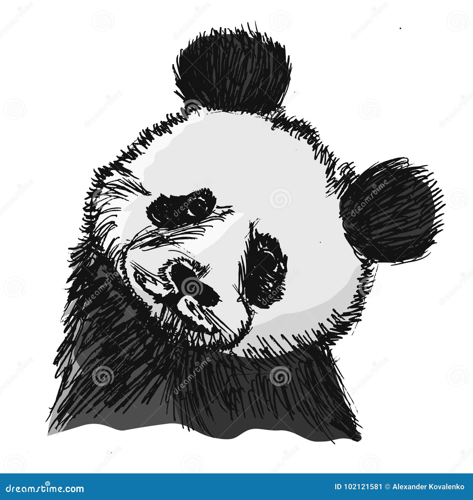 Portrait of panda stock illustration. Illustration of nature - 102121581