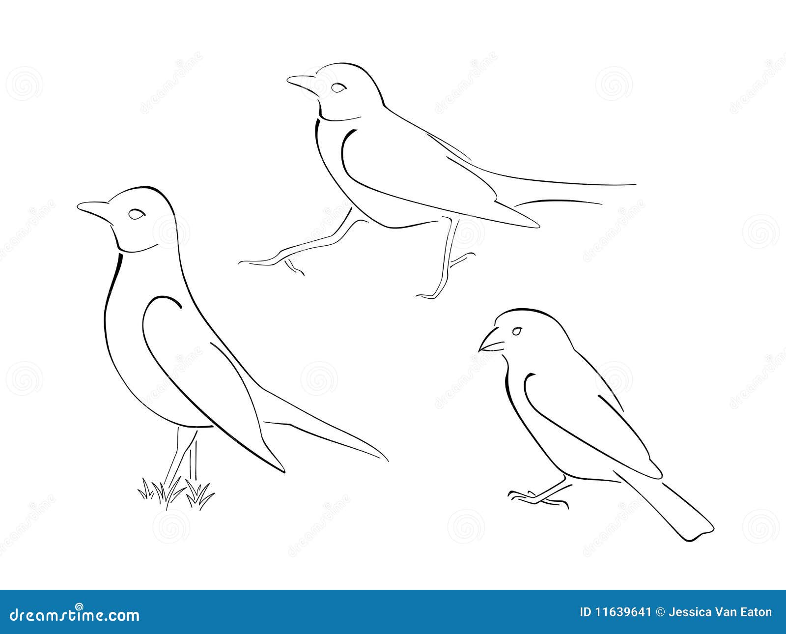 Vector of Common House Sparrow and Running Robins Stock Vector ...