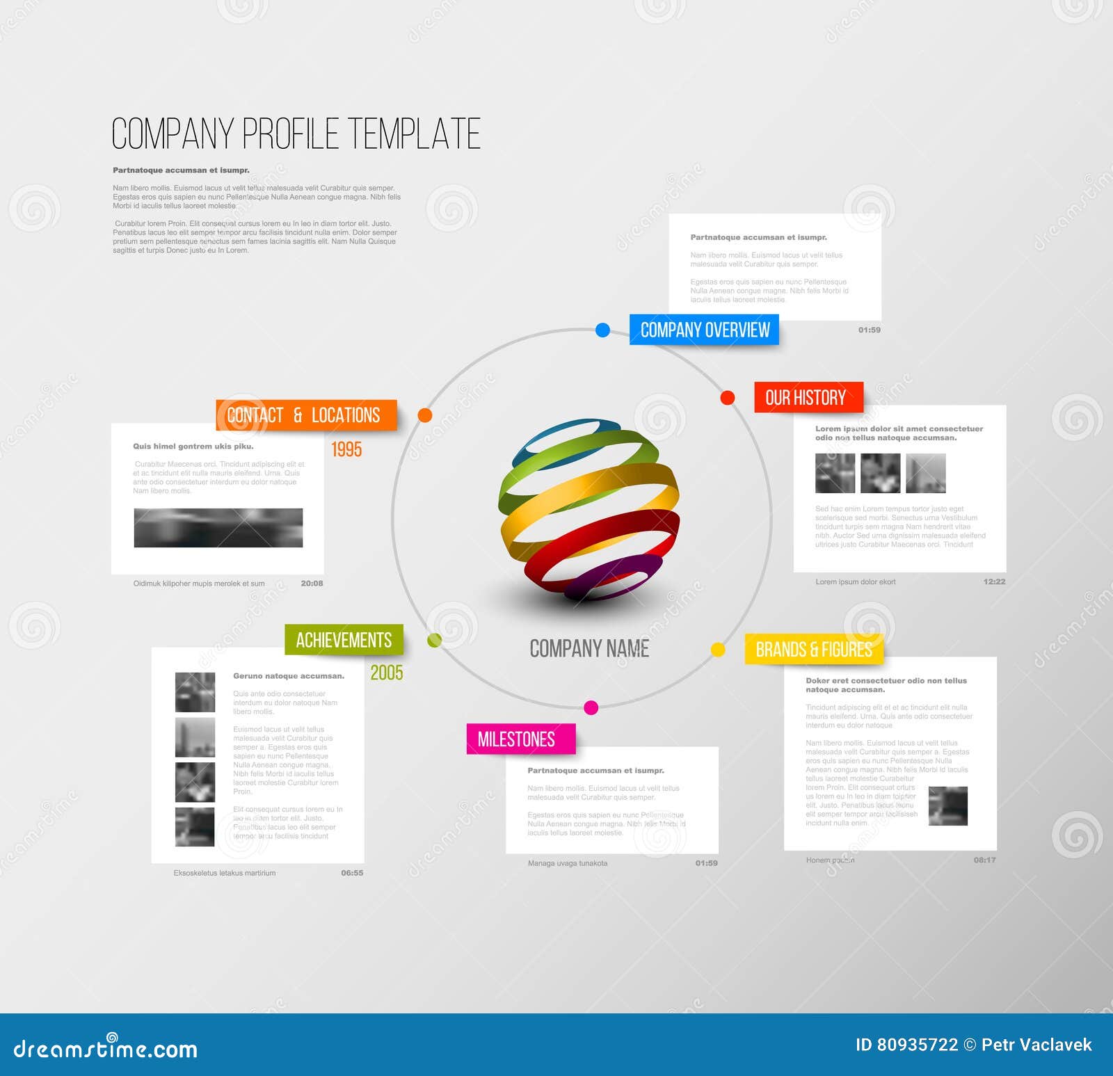Vector Company Infographic Overview Design Template Stock Vector ...