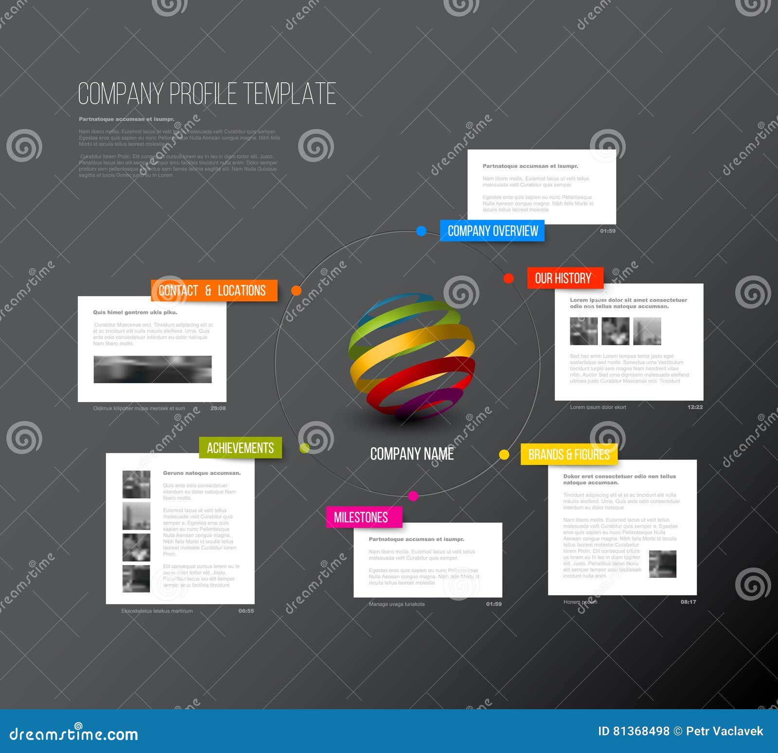 Vector Company Infographic Overview Design Template Stock Vector ...