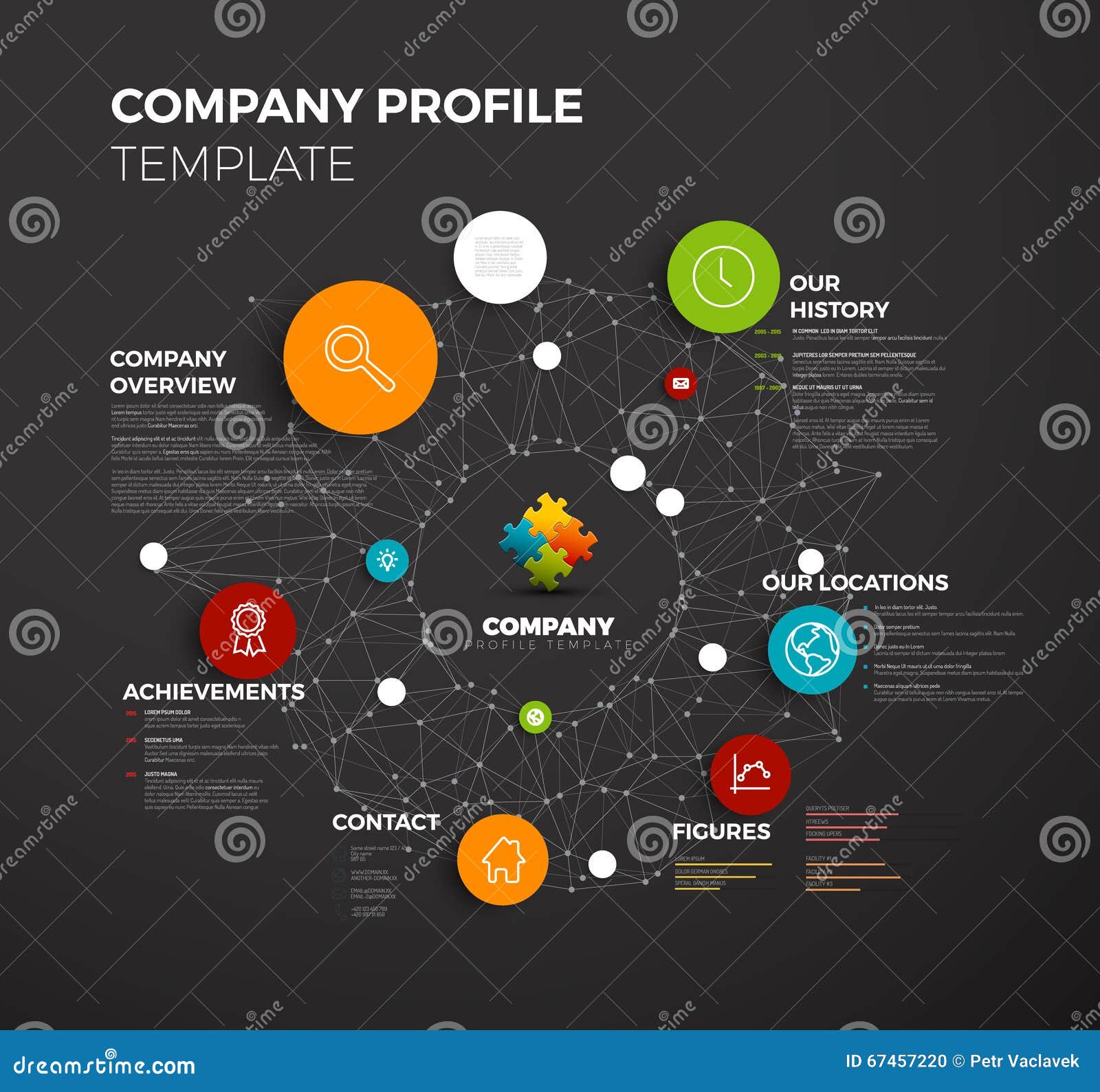 Sample Company Background