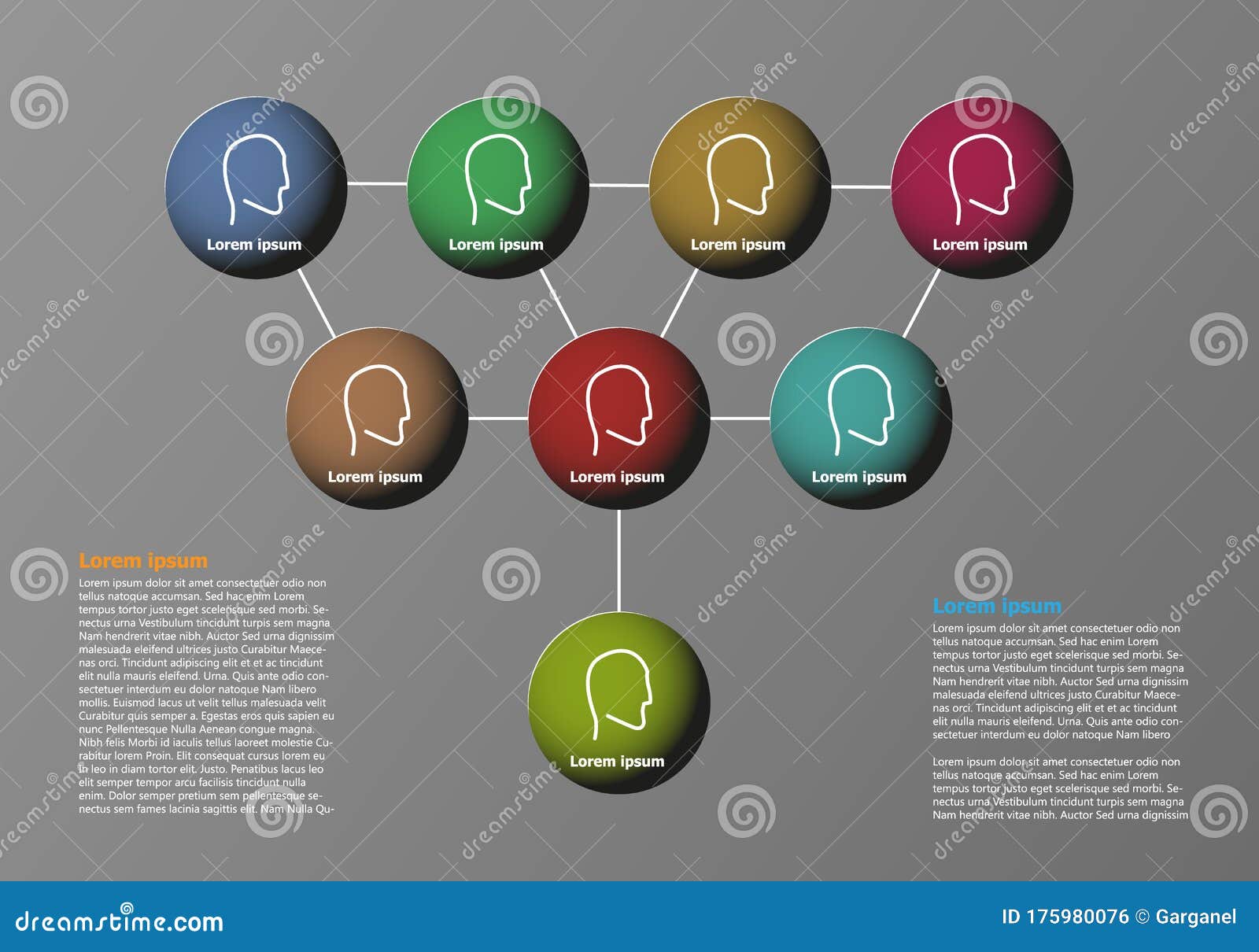 Vector Company Infographic Structure Template Stock Illustration ...