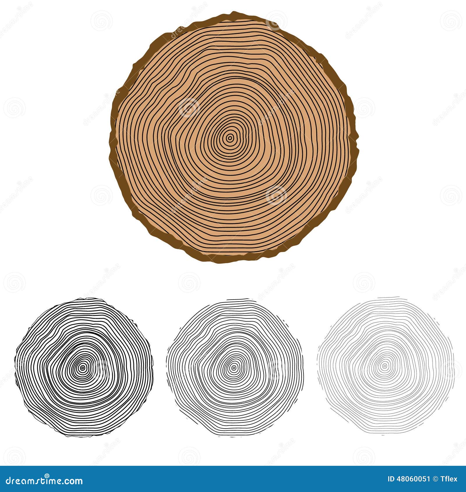 Tree Rings. Set Of Cross Section Of The Tree. Cartoon Vector ...