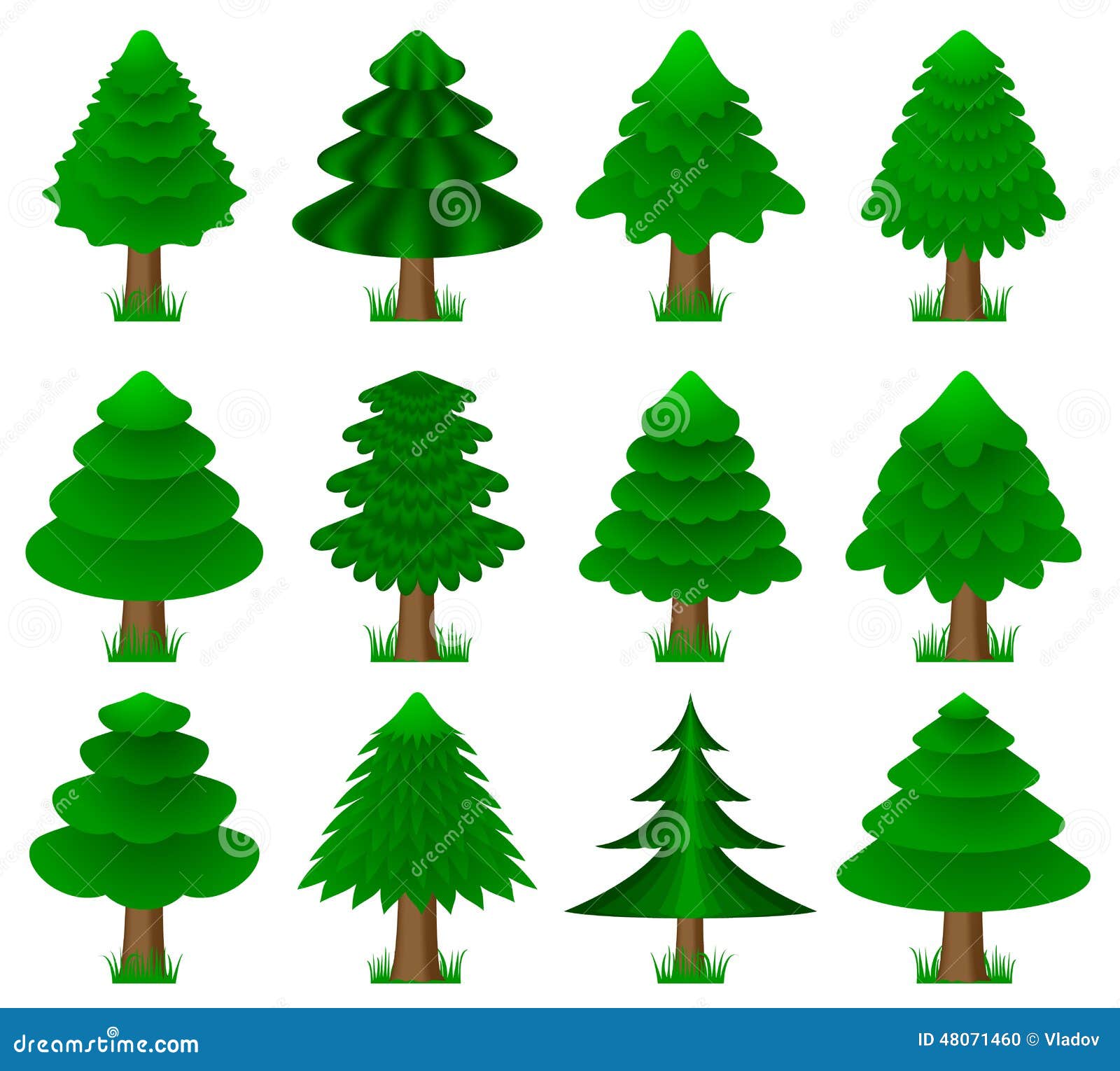 Vector Conifers, Coniferous Trees Stock Vector - Illustration of ...