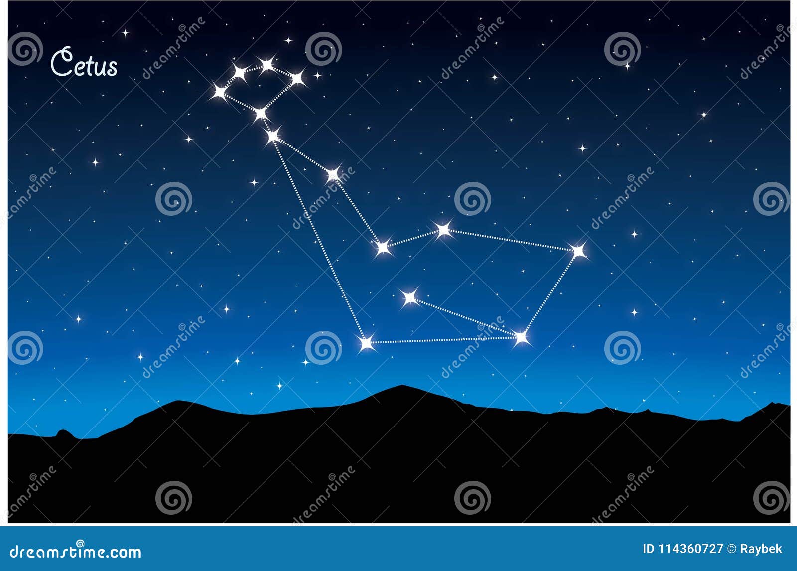 Constellation Cetus, Whale, Sea Monster, Night Star Sky Cartoon Vector ...