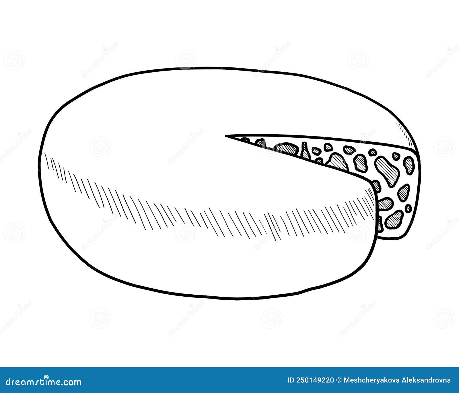 VECTOR CONTOUR DRAWING of a CHEESE HEAD on a WHITE BACKGROUND Stock ...