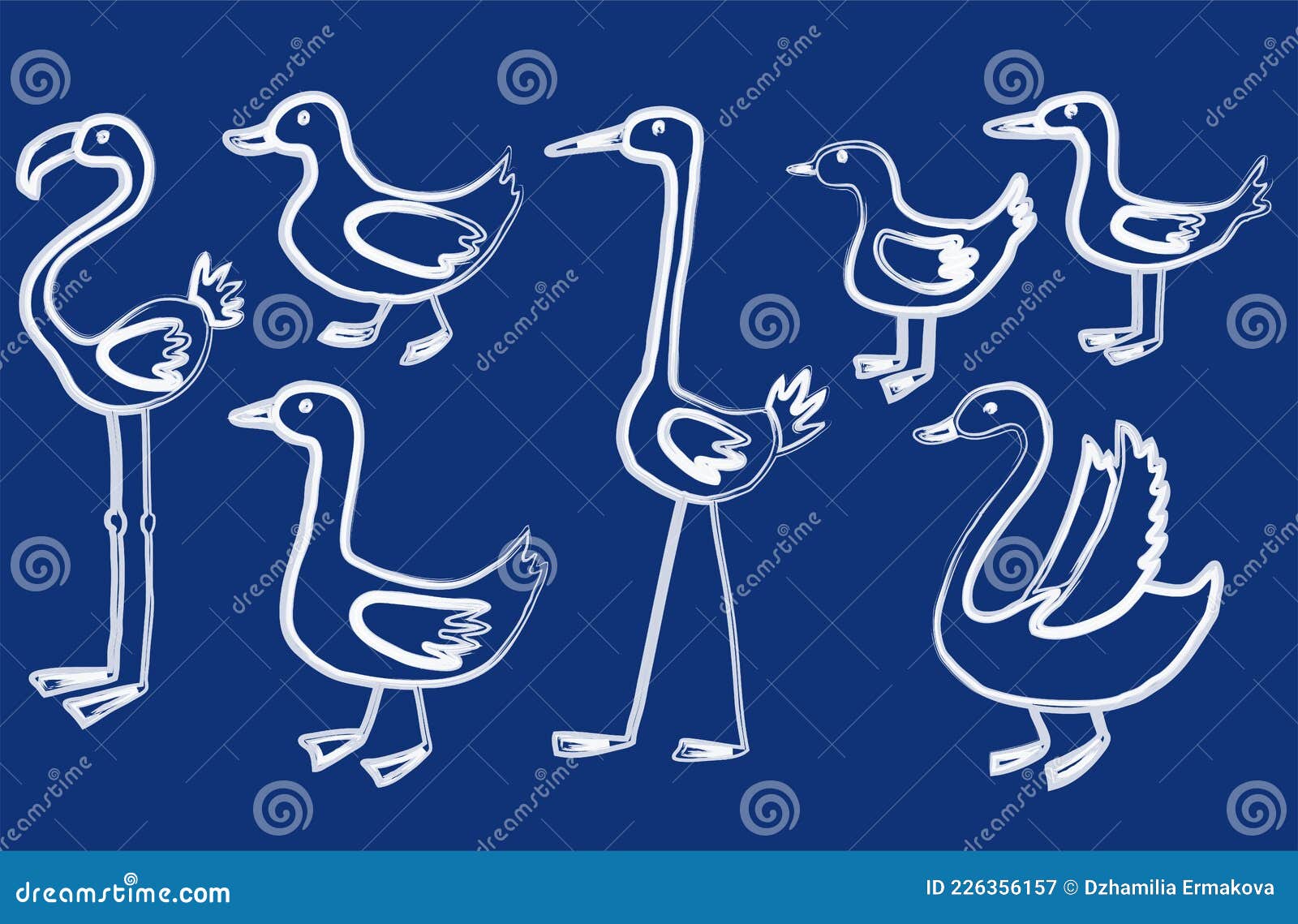 Vector Contour Drawings of Different Cartoon Water Birds Stock Vector ...