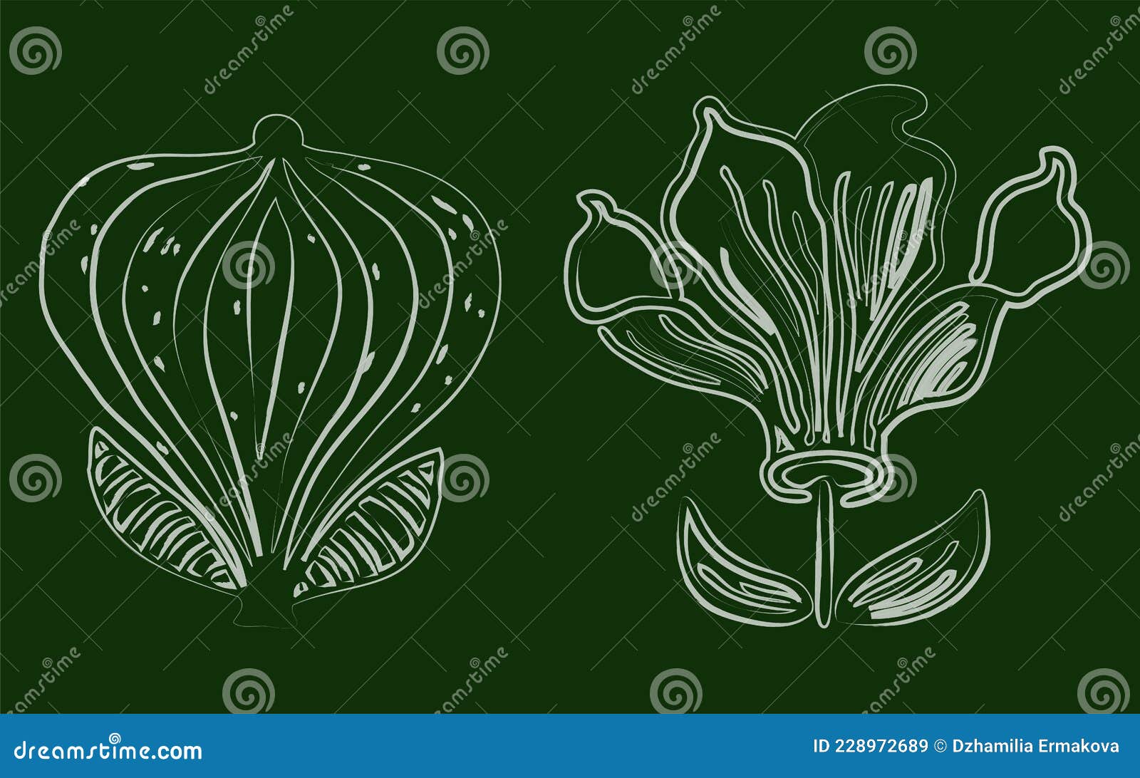 Vector Contour Drawings of Vintage Floral Decorative Design Elements ...