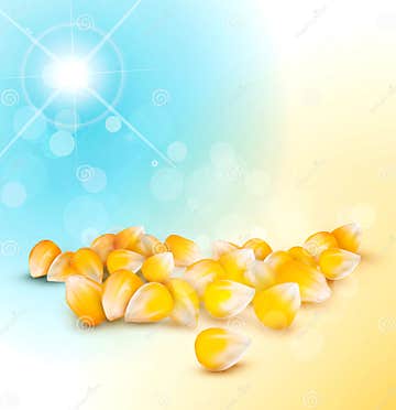 Vector Corn on a Gold-blue Background Stock Vector - Illustration of ...