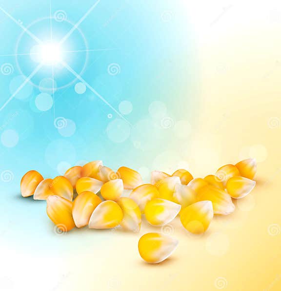 Vector Corn on a Gold-blue Background Stock Vector - Illustration of ...