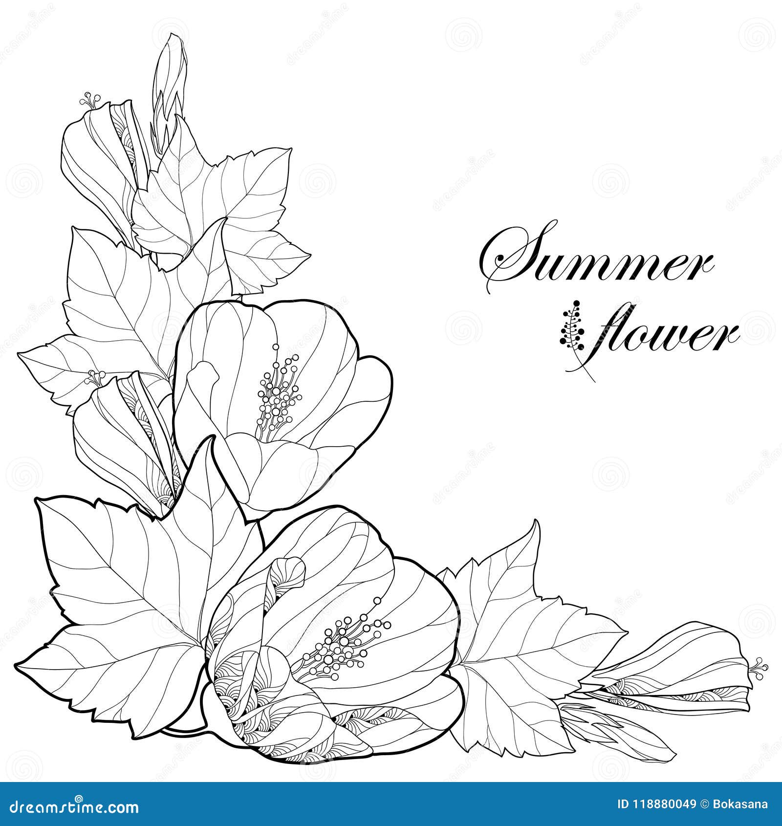 Vector Corner Bouquet With Outline Black Abutilon Or Indian Mallow ...