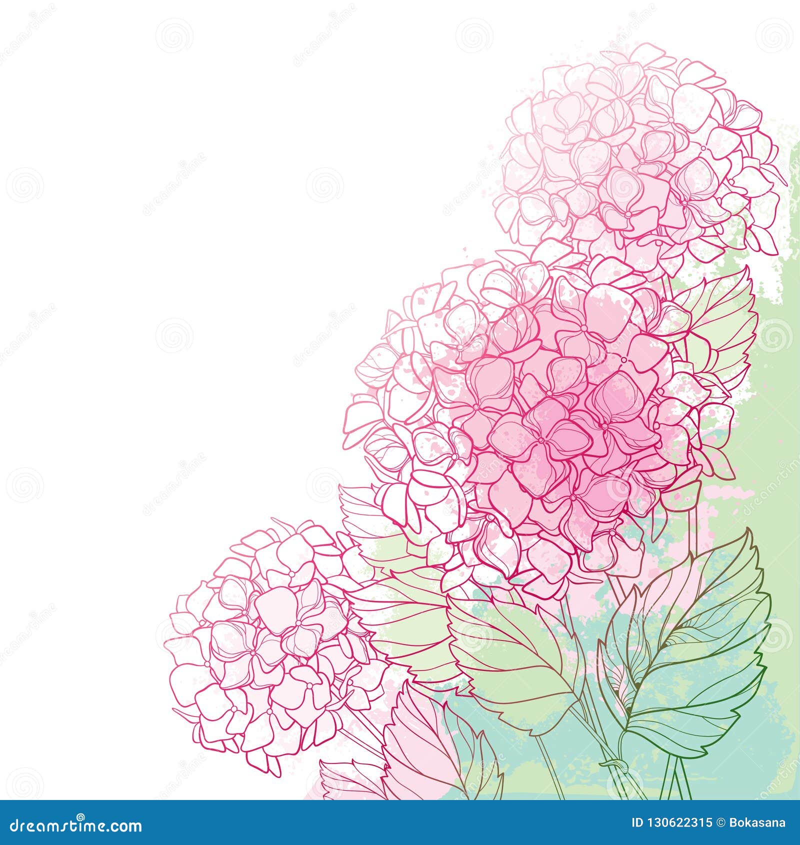 Vector Corner Bouquet Of Outline Hydrangea Or Hortensia Flower Bunch