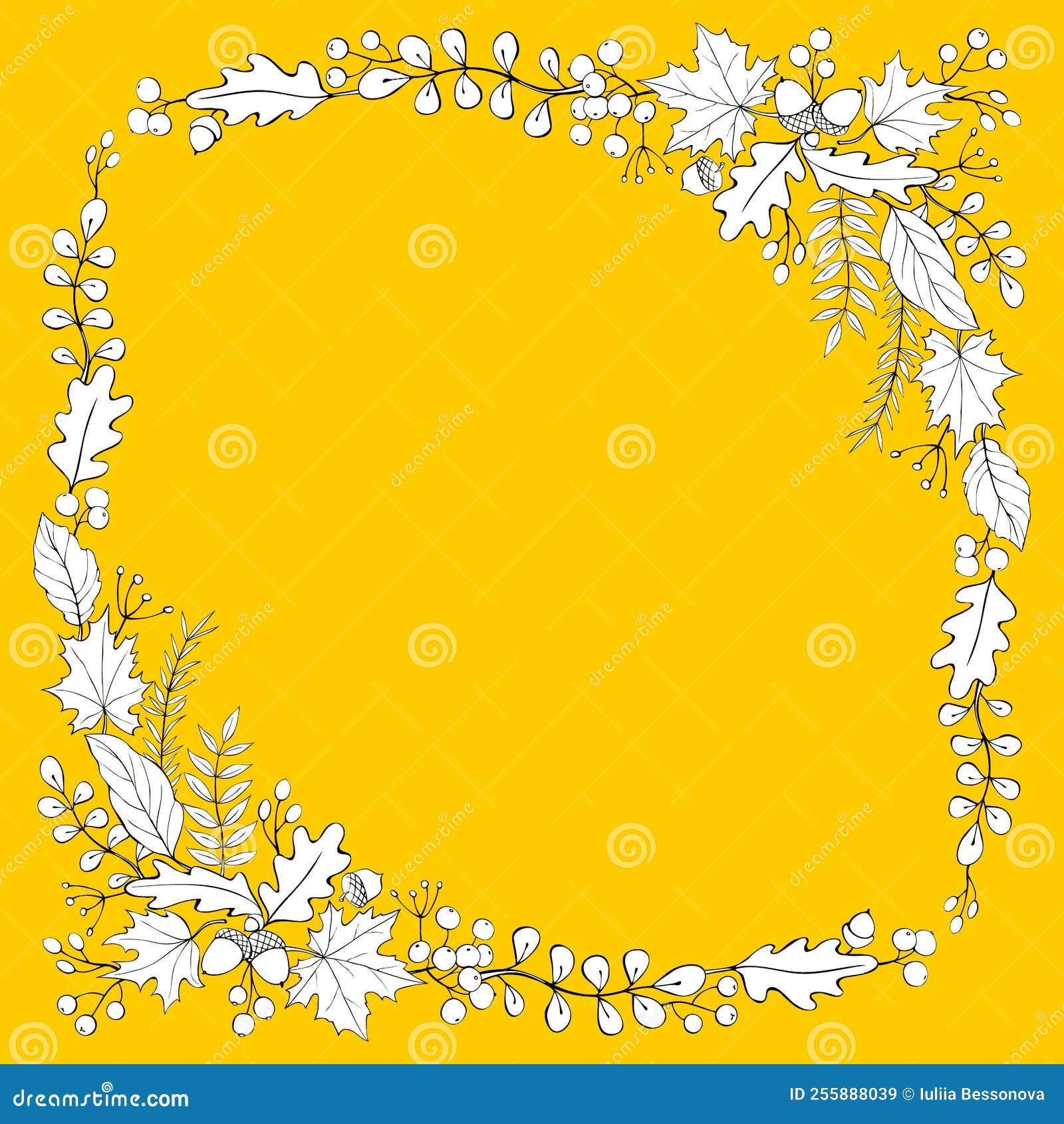 Vector Corner Elements of White Acorns, Leaves, Berries in Doodle Flat ...