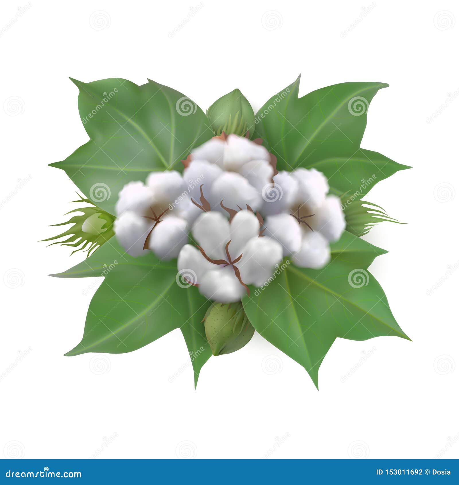 Vector cotton branch stock vector. Illustration of icon - 153011692