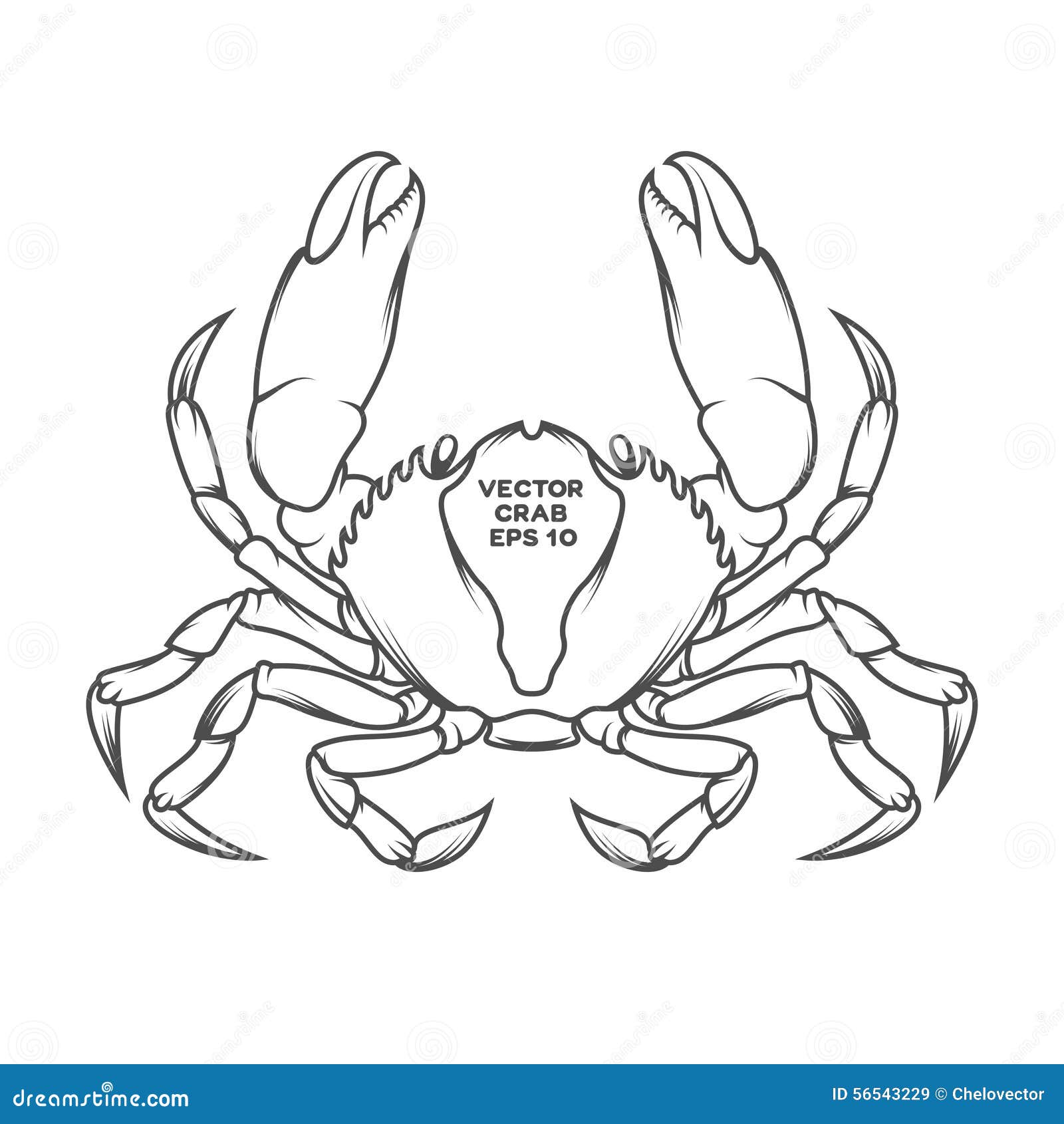 Crab Illustration, Drawing, Engraving, Ink, Line Art, Vector ...