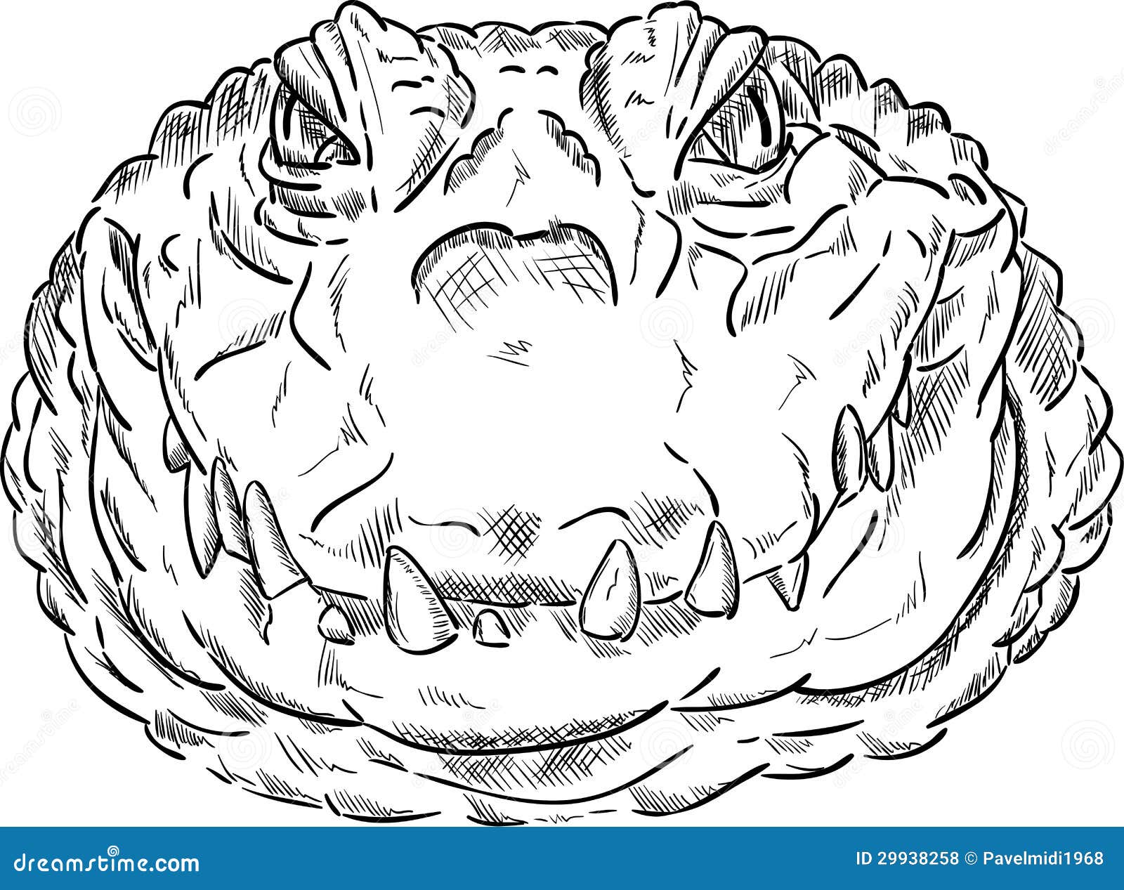 Alligator Head Drawing