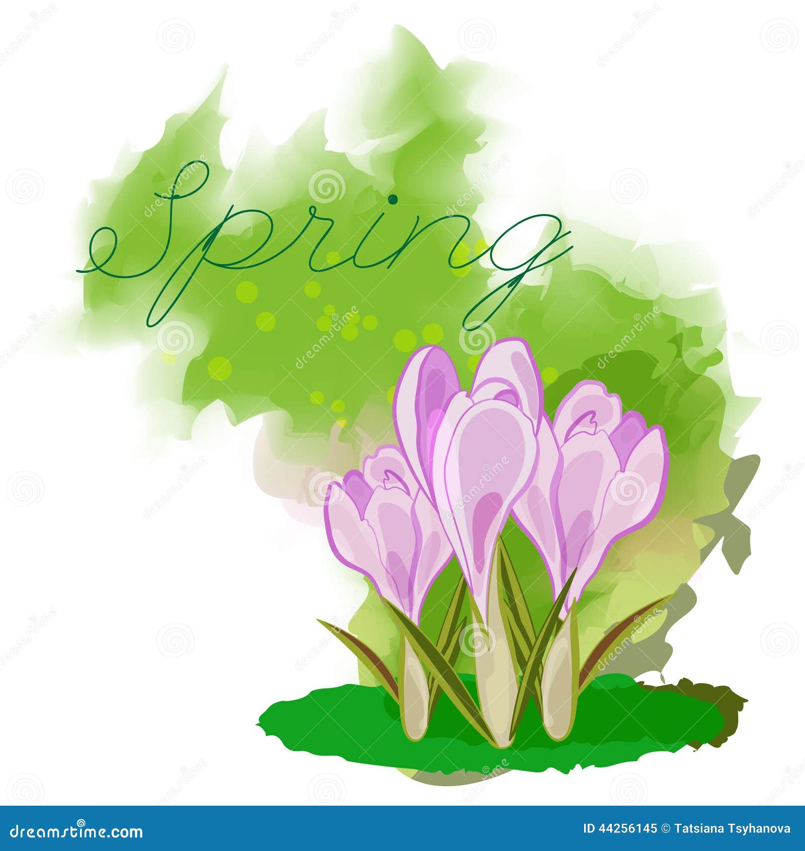 Vector Crocus Spring Flowers. Stock Vector - Illustration of design ...