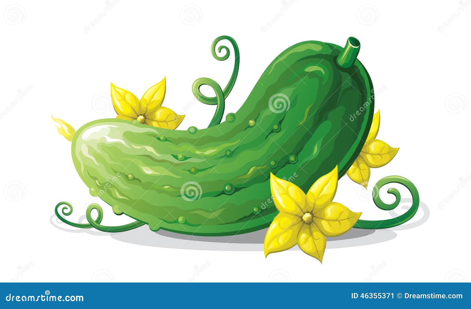 Vector - Cucumber | CartoonDealer.com #46355371