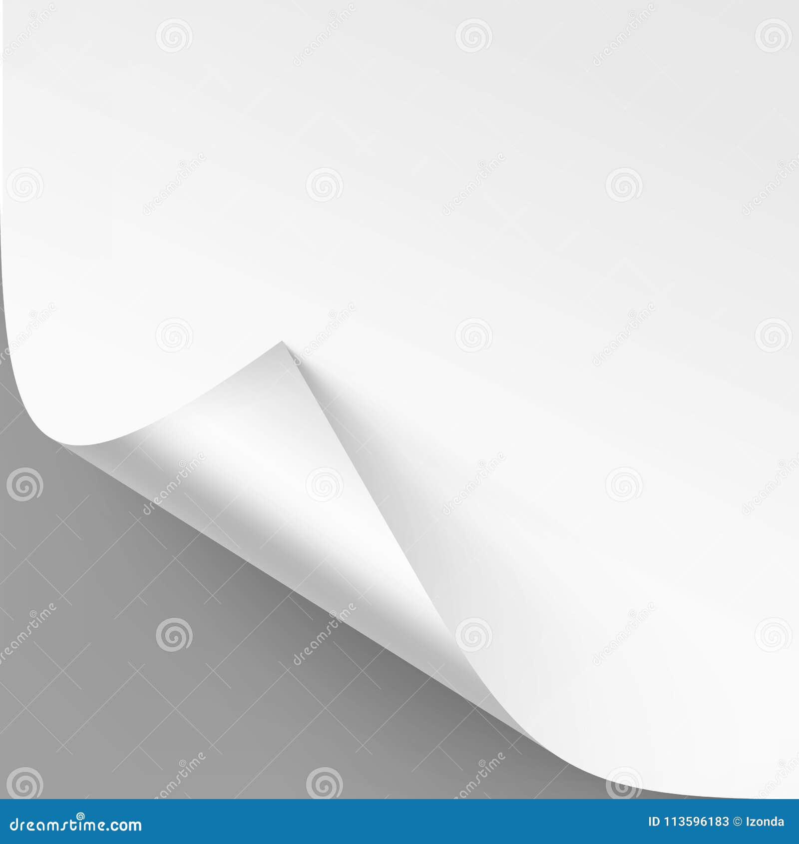 Vector Curled Corner of White Paper with Shadow Mock Up Close Up ...