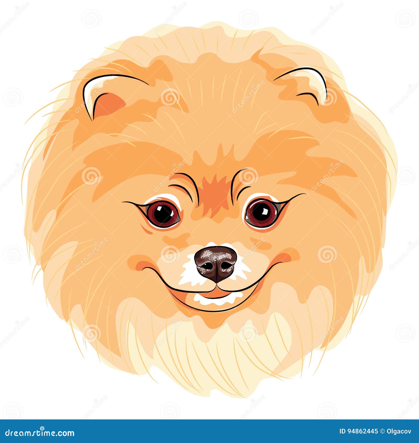 Vector cute dog Pomeranian stock vector. Illustration of cheerful ...