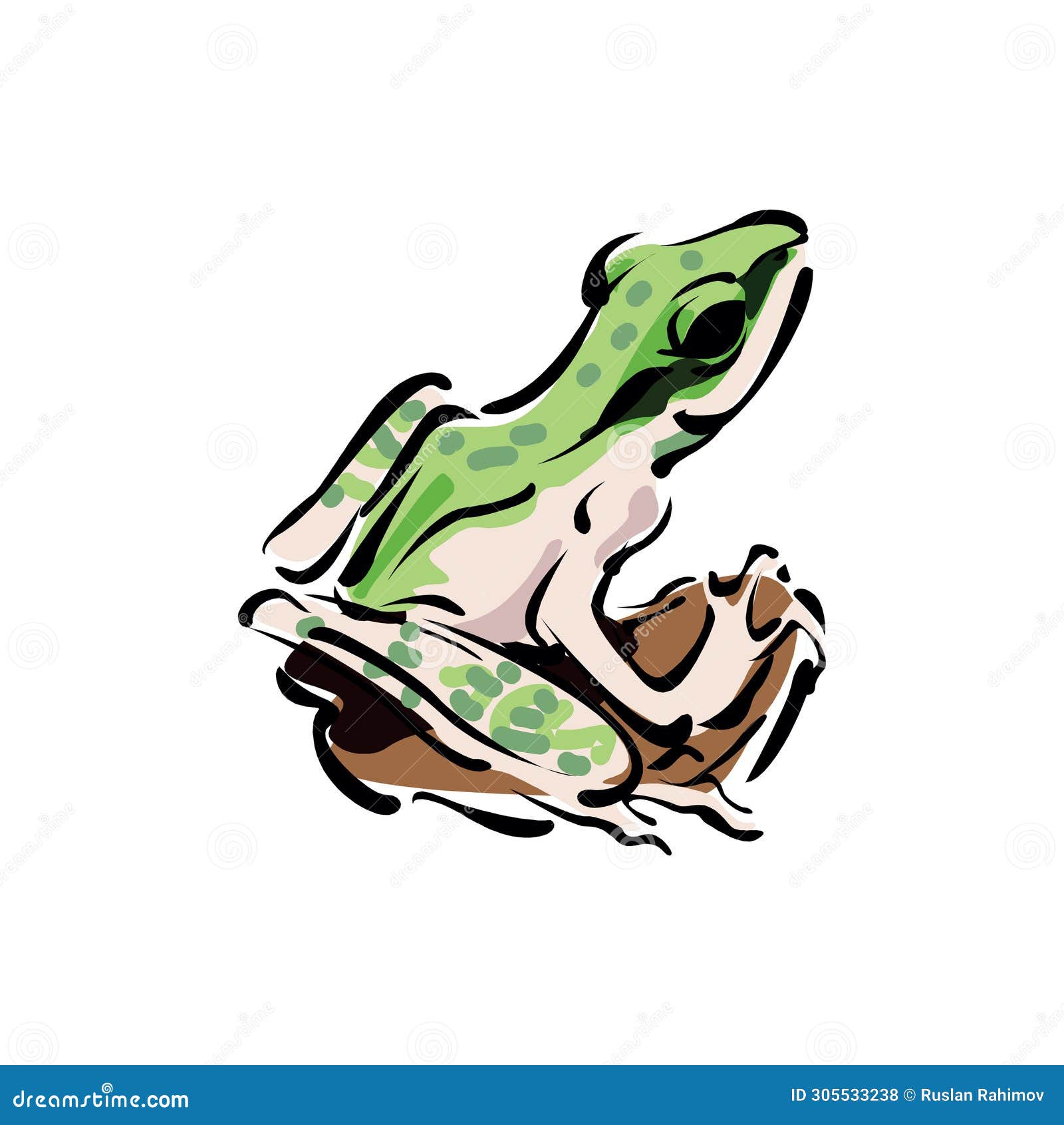 Vector Cute Frog Cartoon Style on a White Background Stock Vector ...
