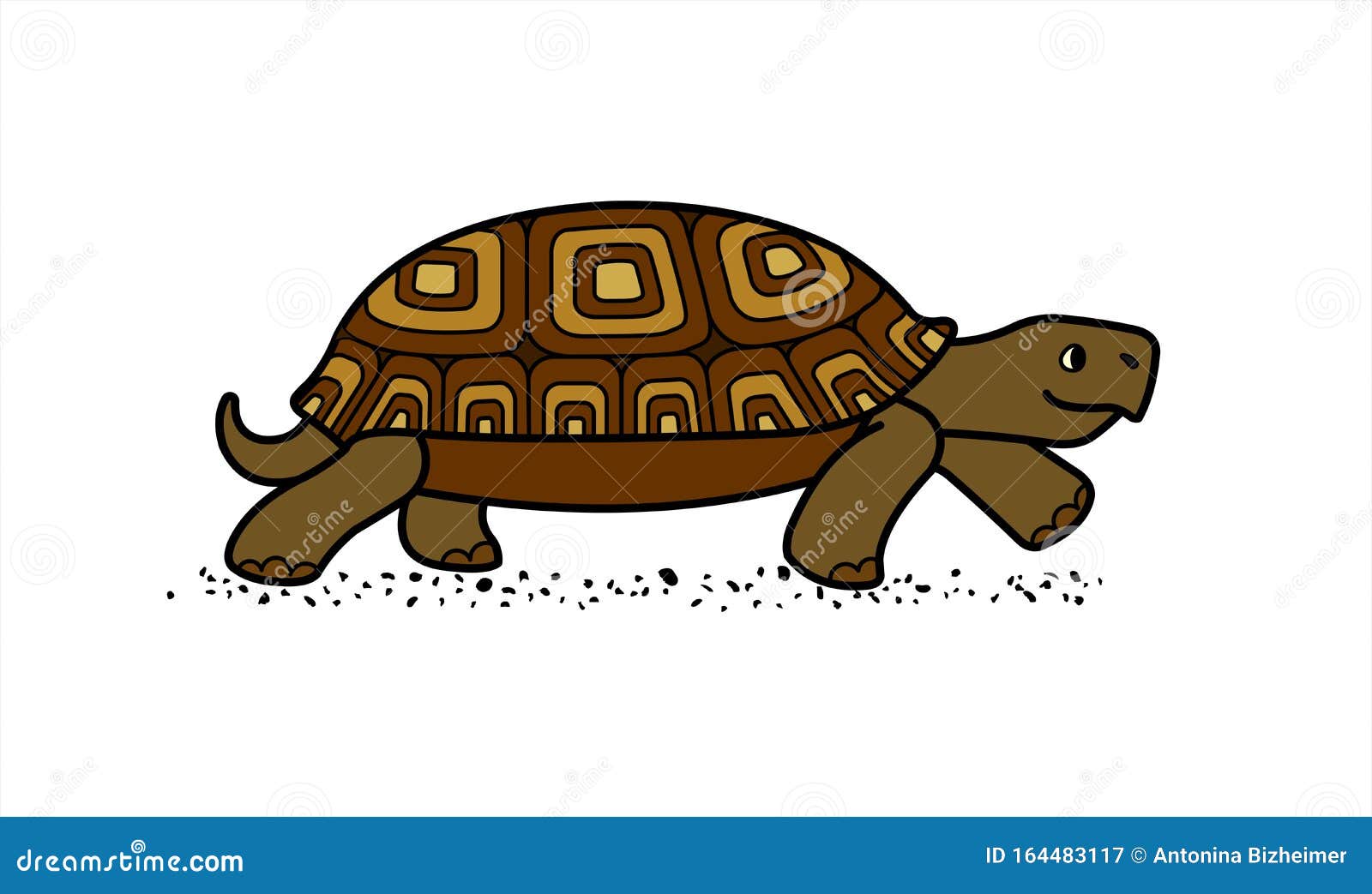 Land Tortoise (Testudo) Turtle Isolated On Solid White Background. Ai ...