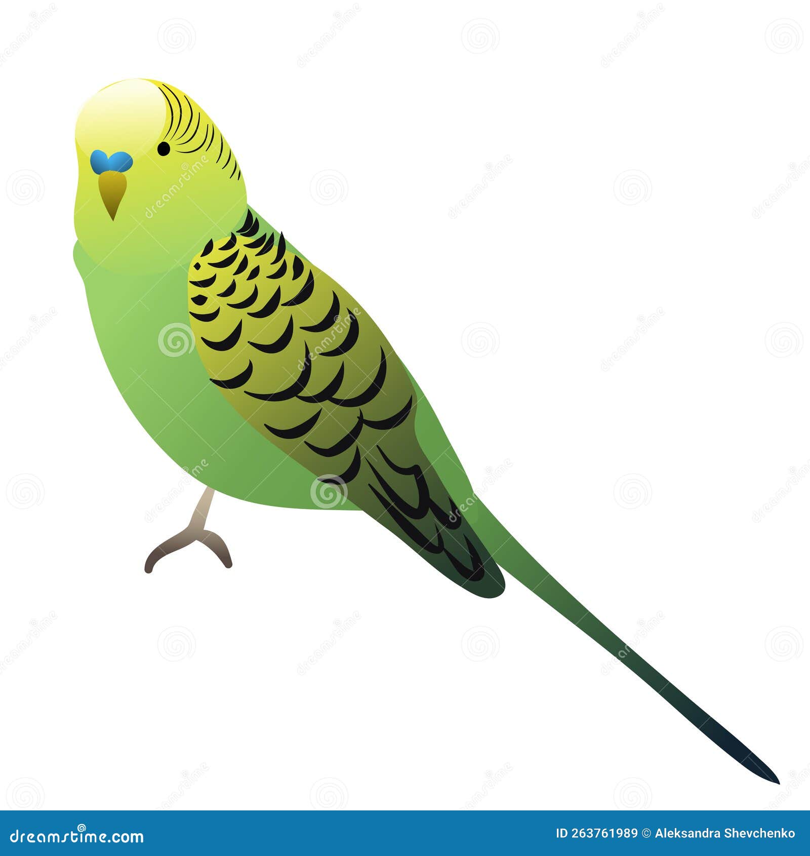 Vector Cute Parrot Green with Yellow Coloration Stock Vector ...