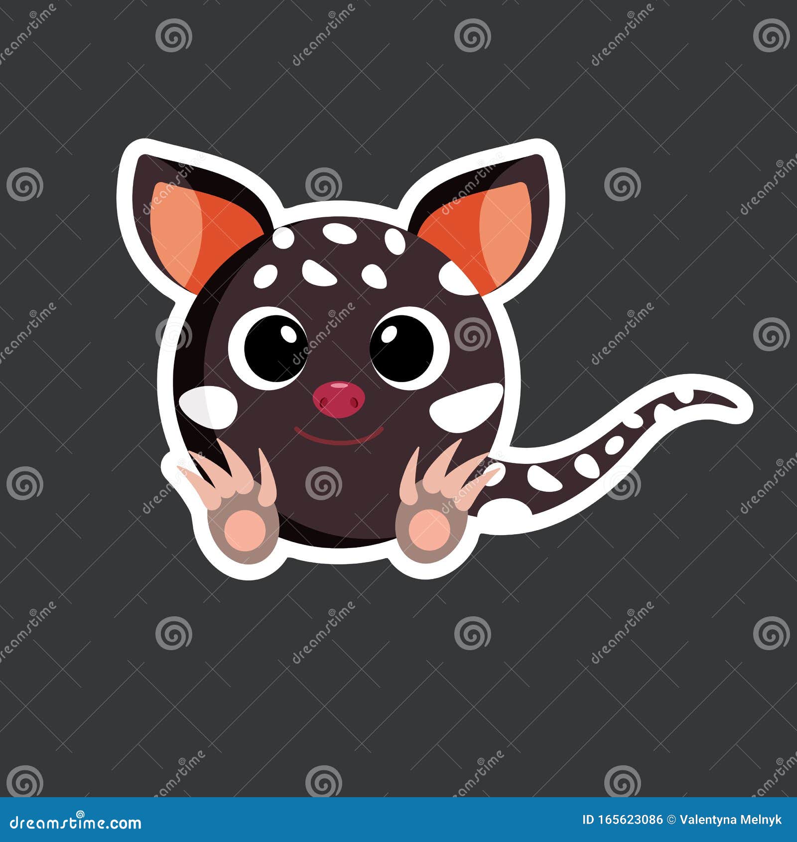 Quoll - Vector Illustration Sketch Hand Drawn With Black Lines ...