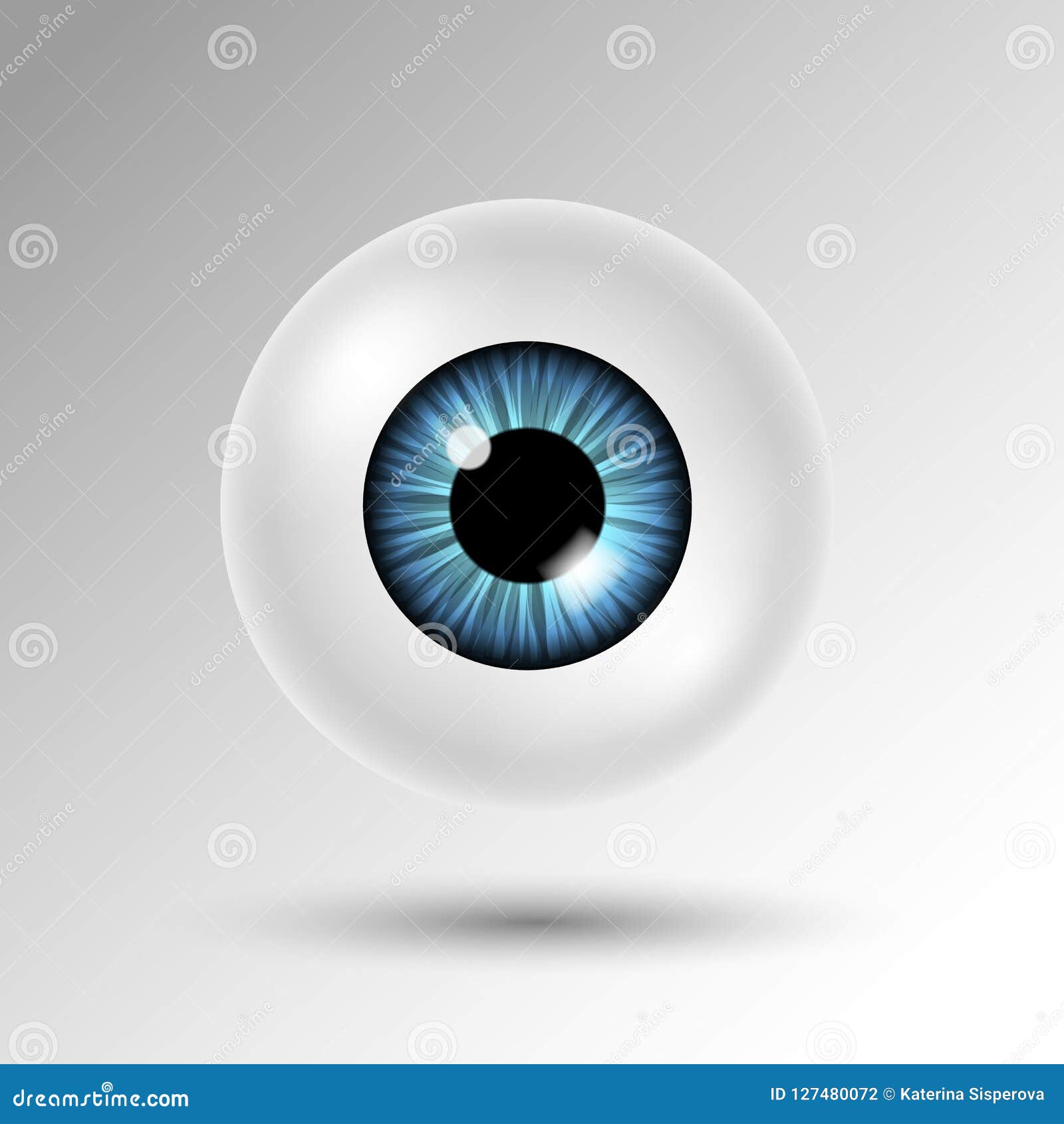 Blue Iris Eye Realistic Vector Set Design Isolated On White Bac ...
