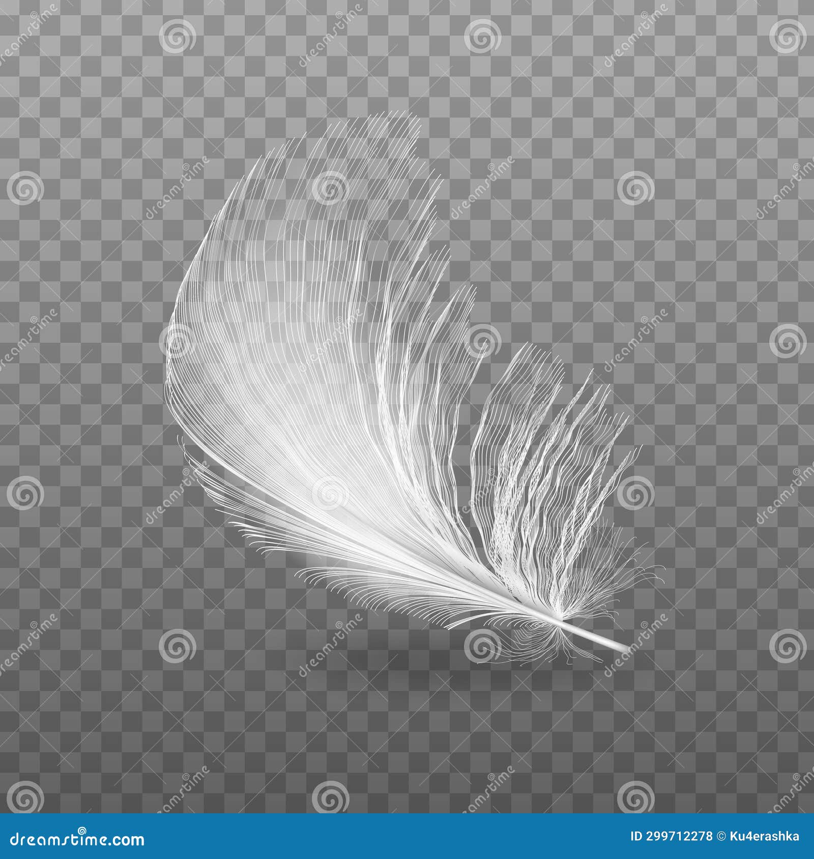 Vector 3d Realistic Falling Feather Closeup Isolated on Transparency ...