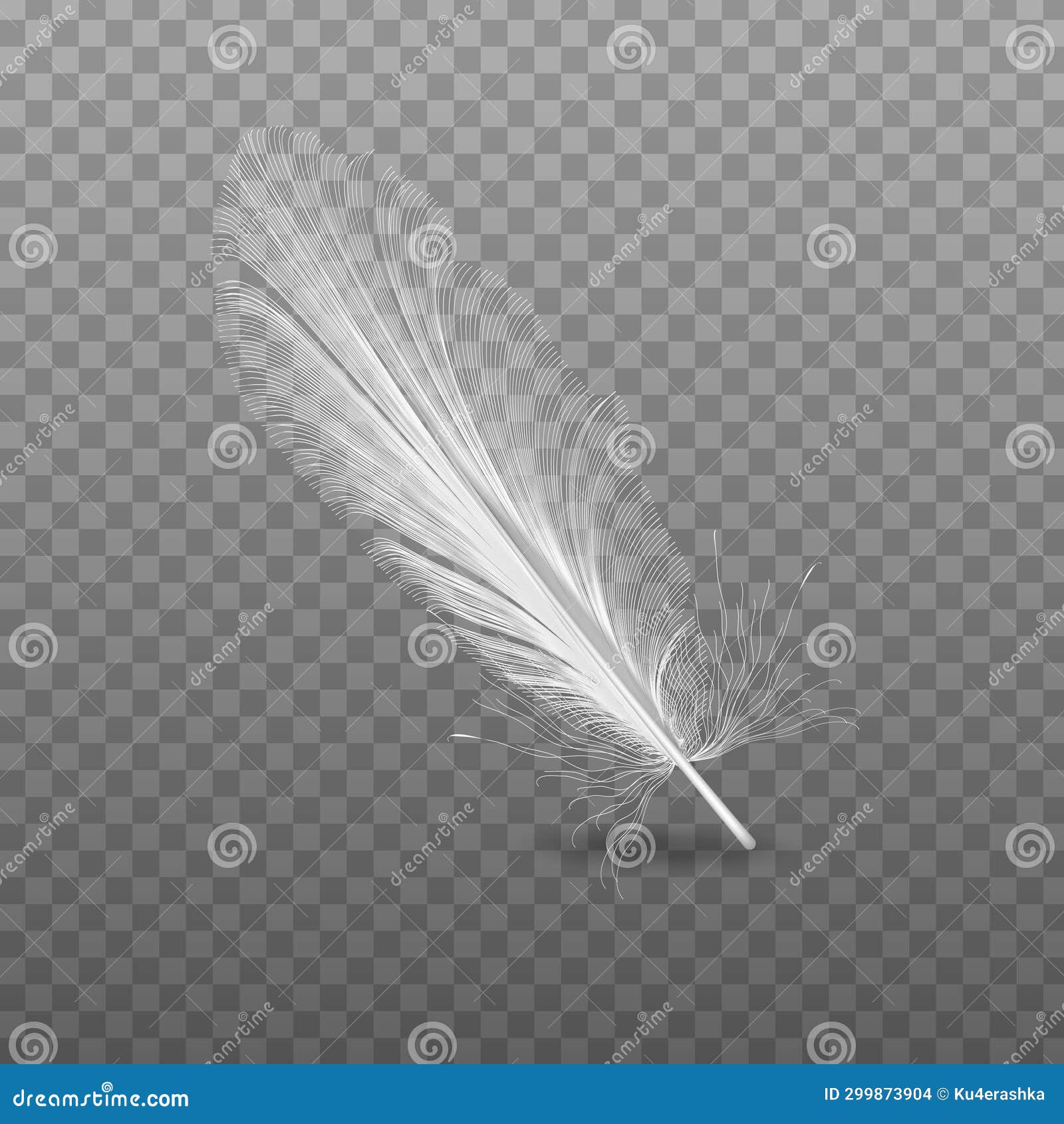 Vector 3d Realistic Falling Feather Closeup Isolated on Transparency ...