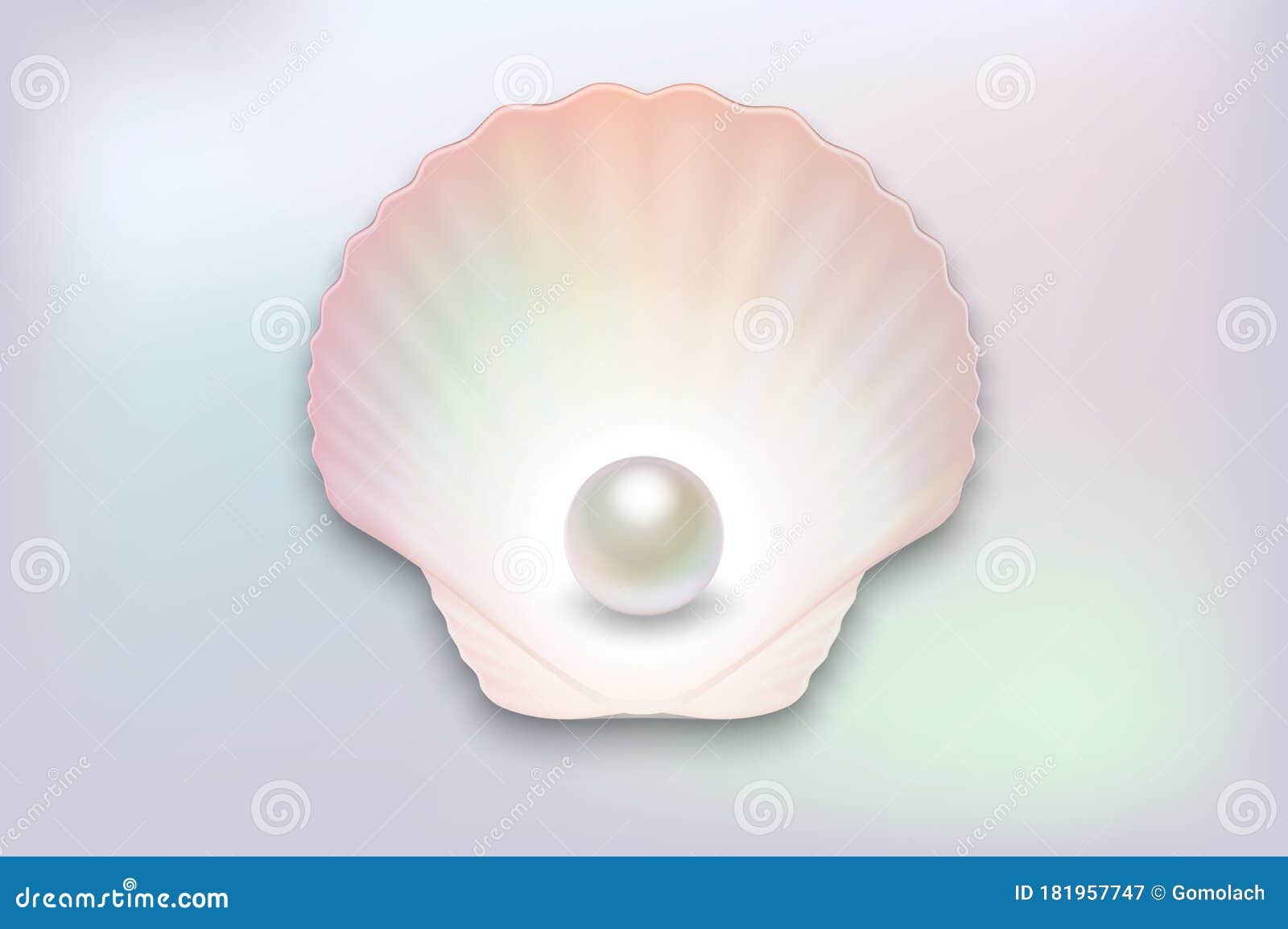 Vector 3d Realistic Natural Open Half Shell with Pearl Close Up on ...