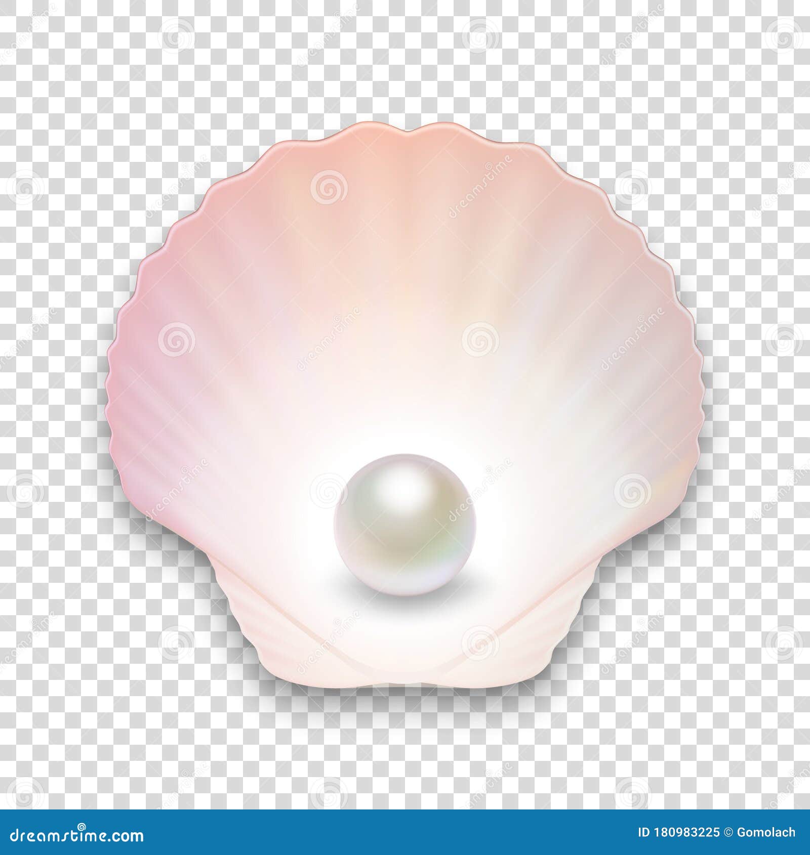 Vector 3d Realistic Natural Open Half Shell with Pearl Close Up ...