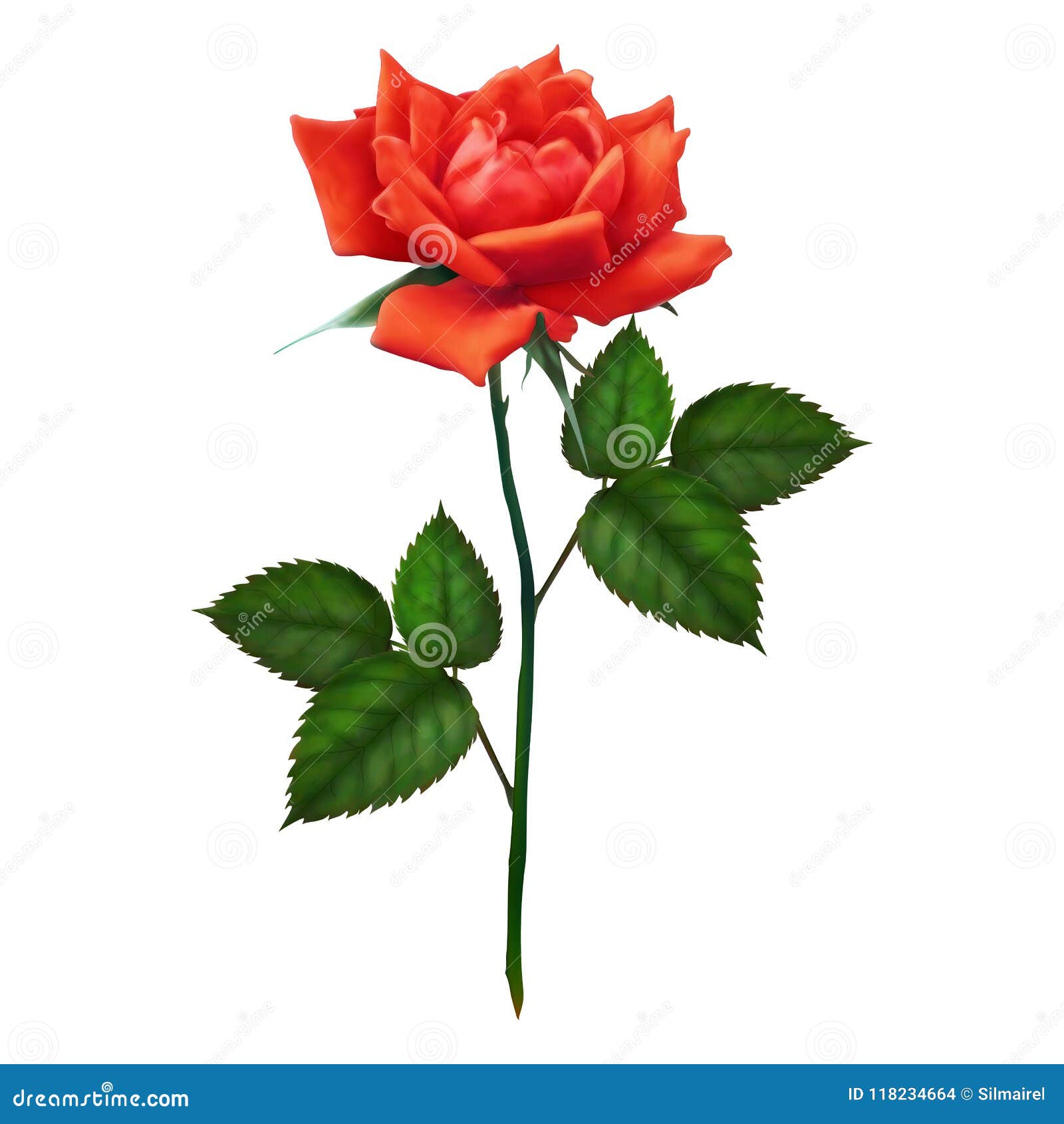 Vector 3D Realistic Single Red Rose Digital Clip Art Isolated Stock ...