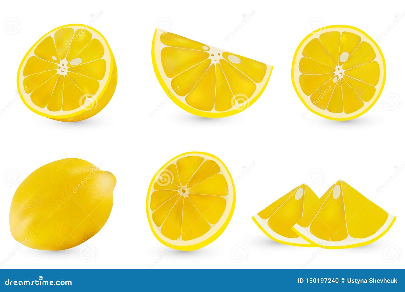 Vector 3d Realistic Sliced Lemon. Isolated Sliced Lemon on White ...