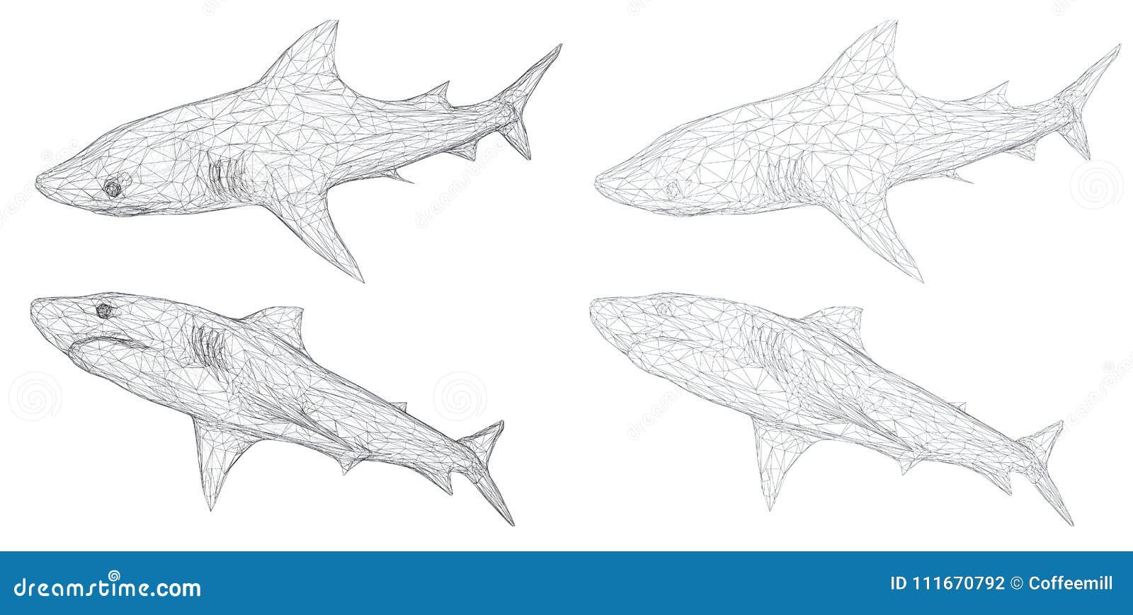 Vector 3d Shark from a Triangular Grid. Stock Vector - Illustration of ...