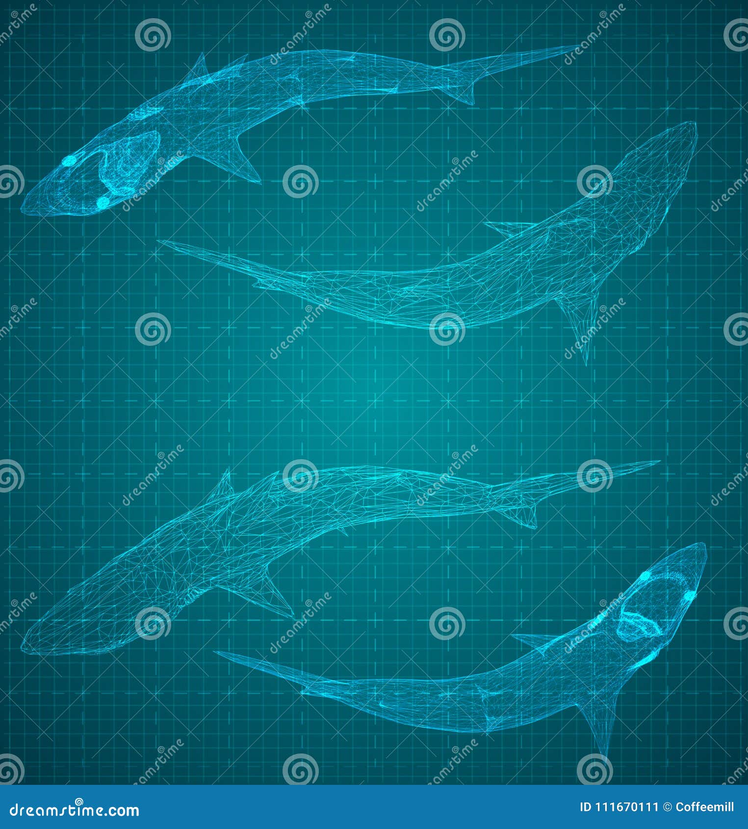 Vector 3d Shark from a Triangular Grid. Stock Vector - Illustration of ...