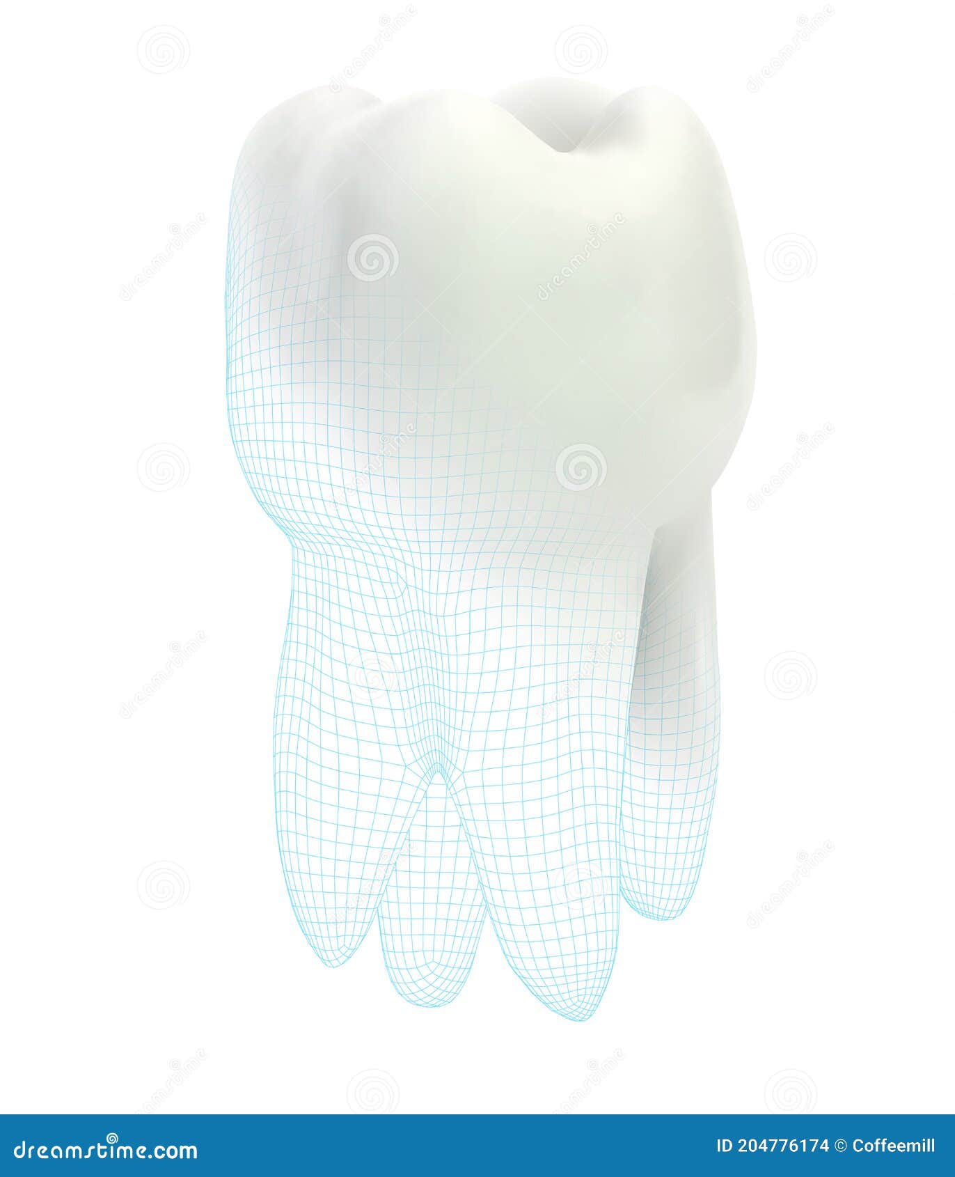 Vector 3d Tooth for Dental Medicine.volume Polygonal Mesh, Printing on ...