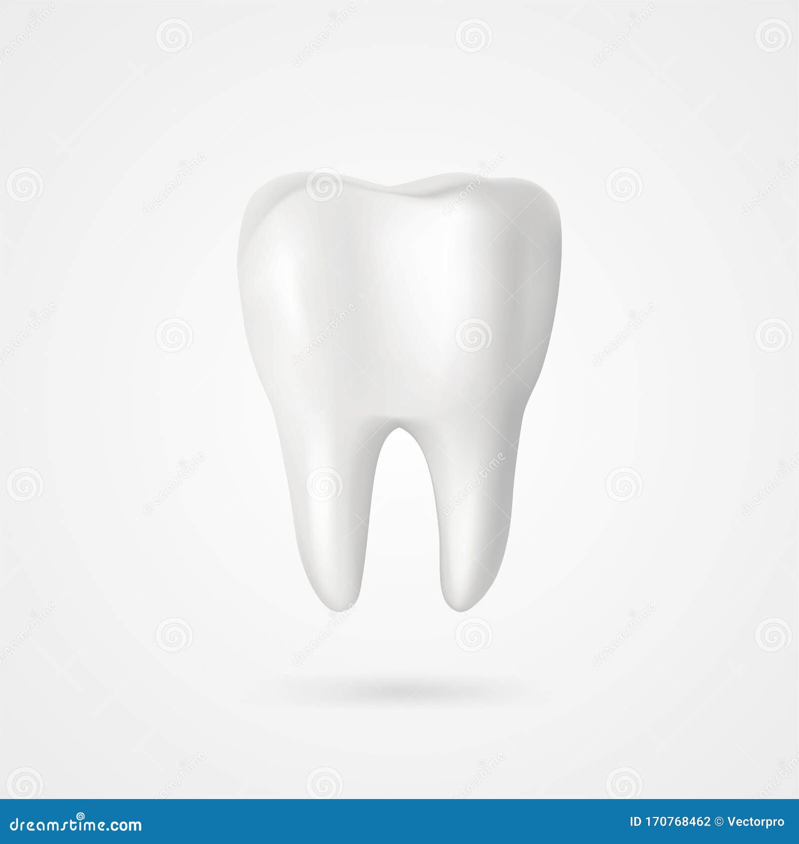 Vector 3d Tooth Model for Dental Designs Stock Vector - Illustration of ...