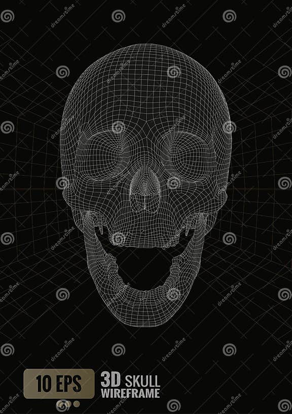 3D Wireframe Skull Front View on Dark BG Stock Vector - Illustration of ...