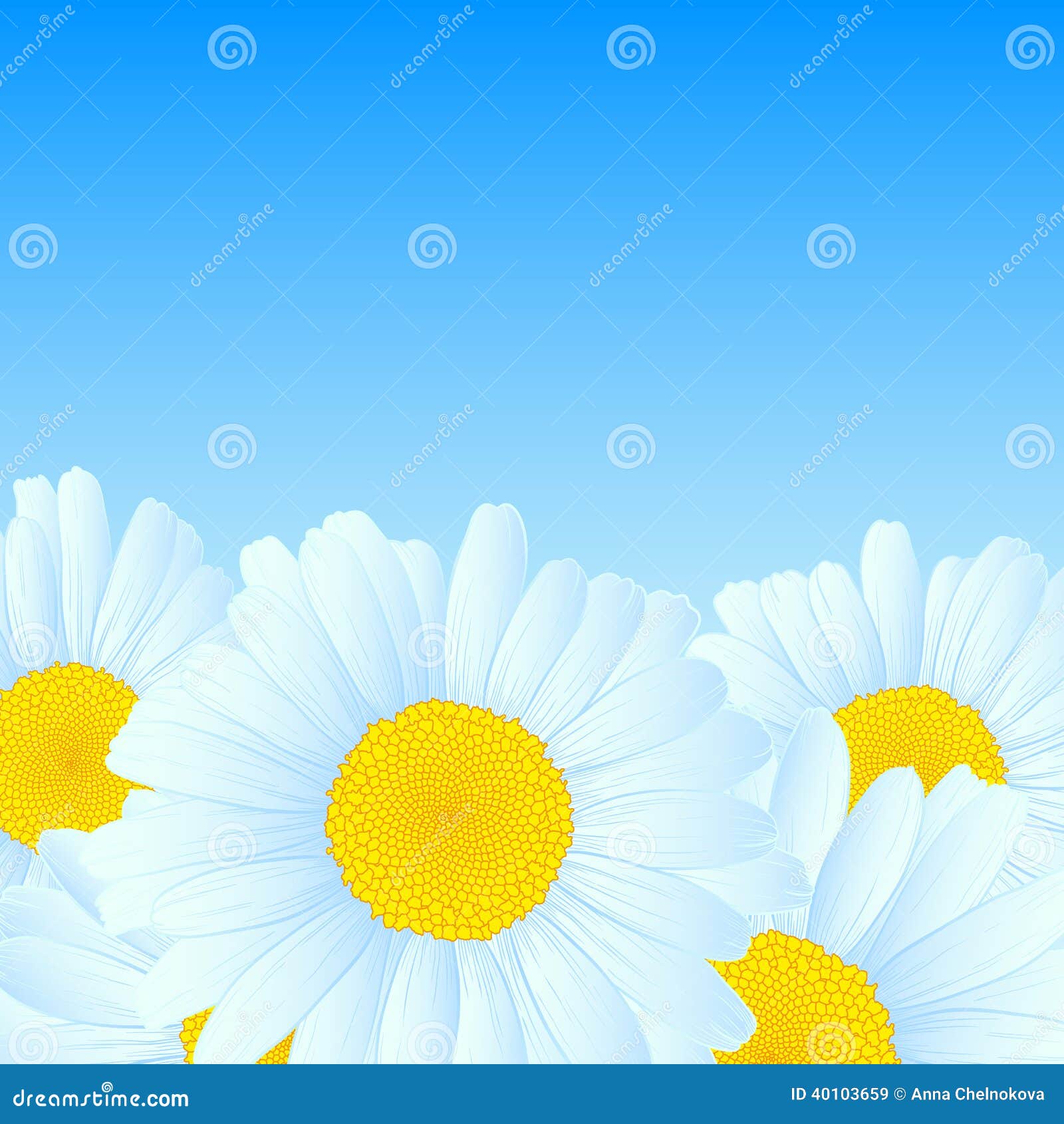 Vector daisies design. stock vector. Illustration of floral - 40103659