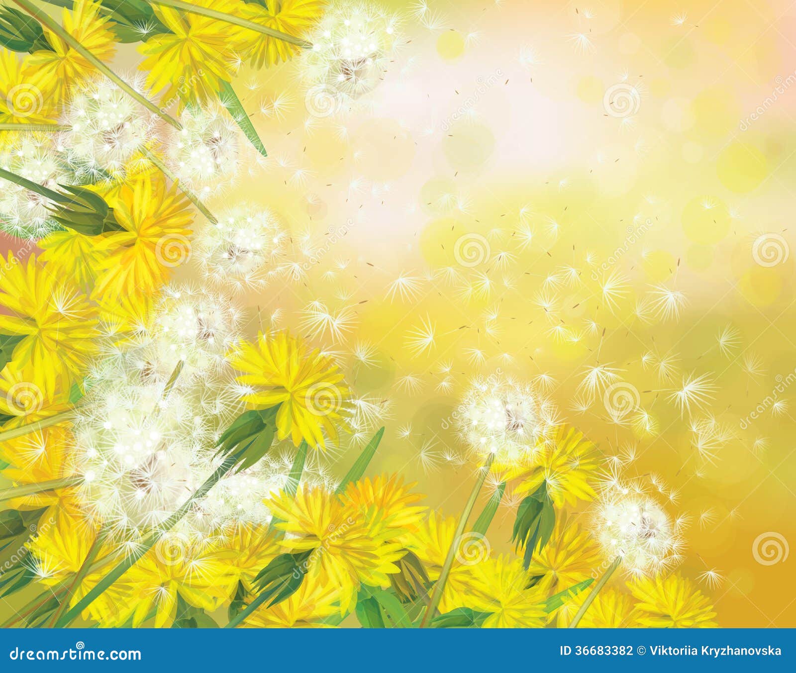 Vector Dandelions Background. Stock Vector - Illustration of white ...