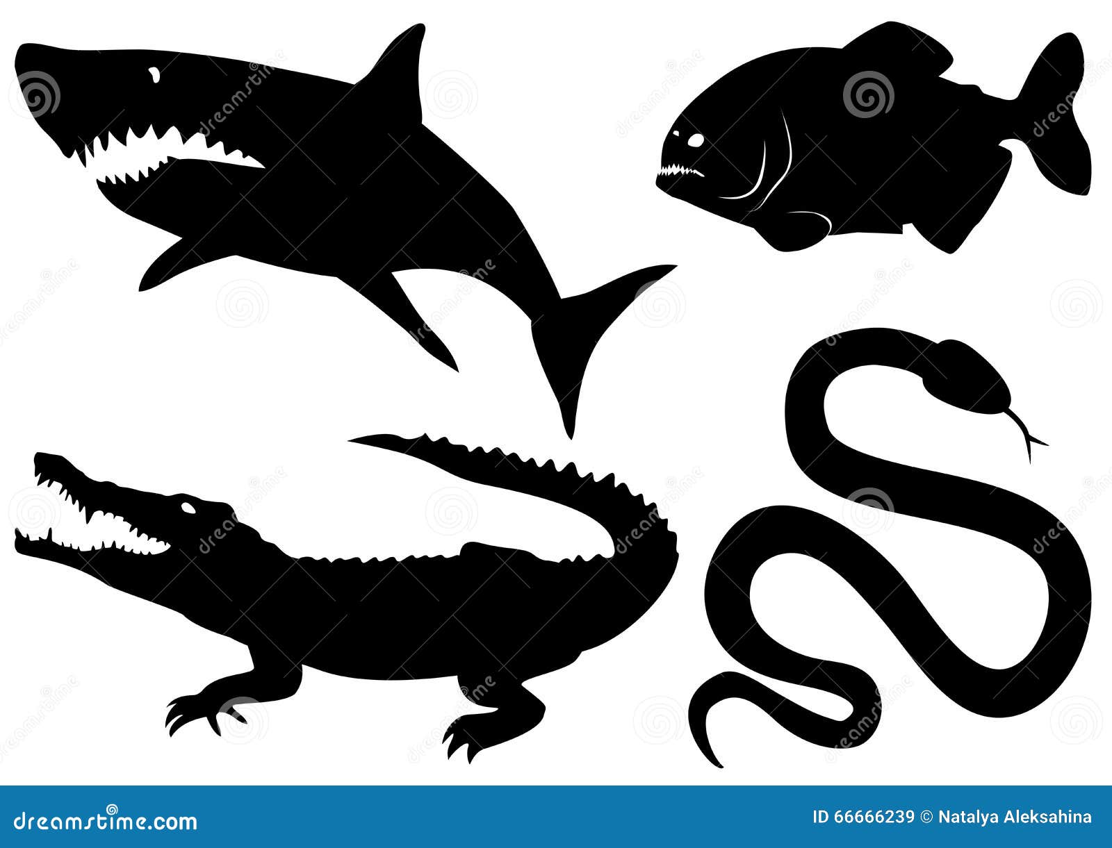 Vector Dangerous Predatory Animals Stock Vector - Illustration of ...