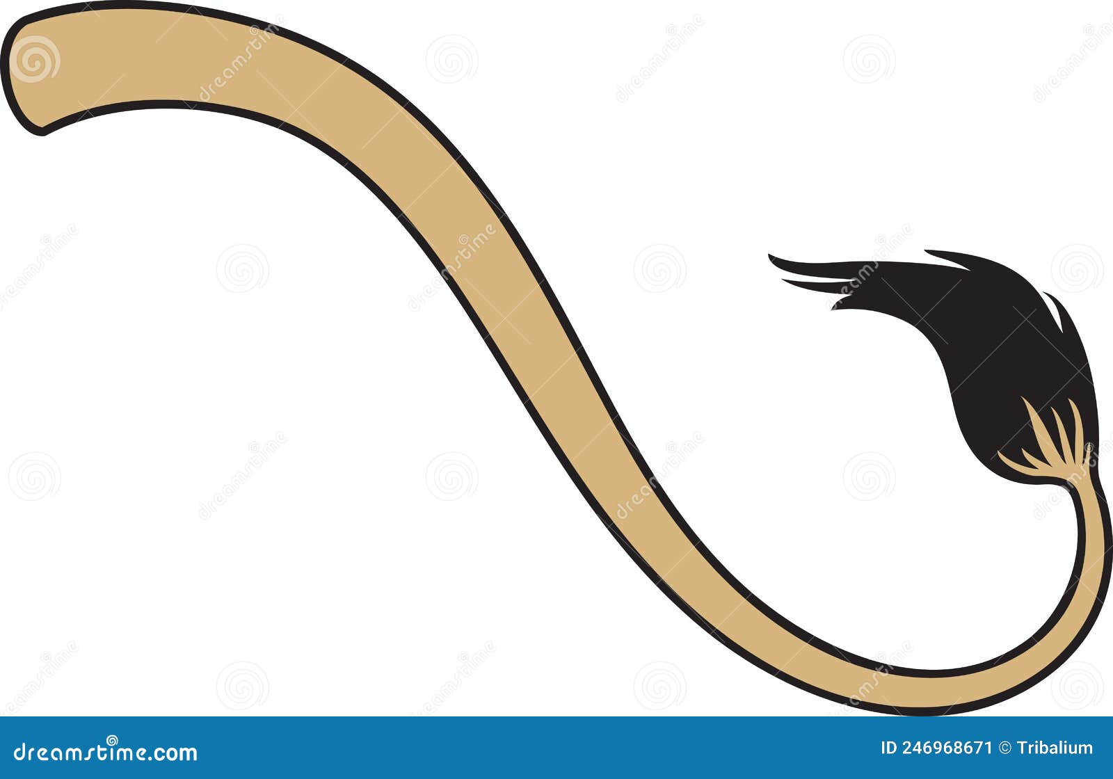 Vector de cola de león stock de ilustración. Ilustración de despredador ...