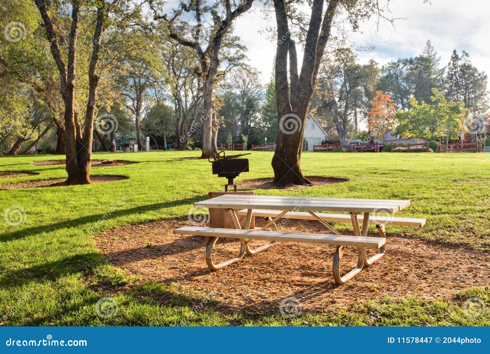 Vector De Comida Campestre En Parque Público Imagen de archivo - Imagen ...